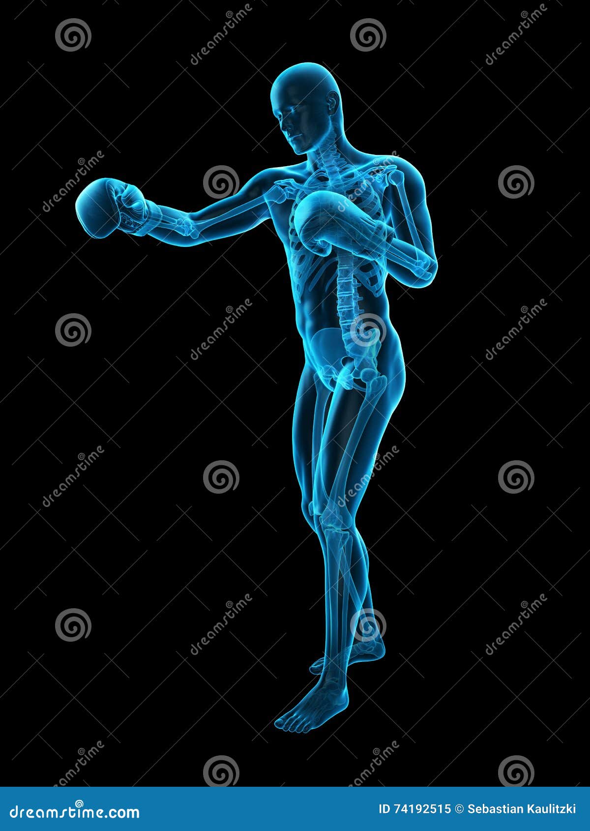 A boxing pose stock illustration. Illustration of healthy - 74192515