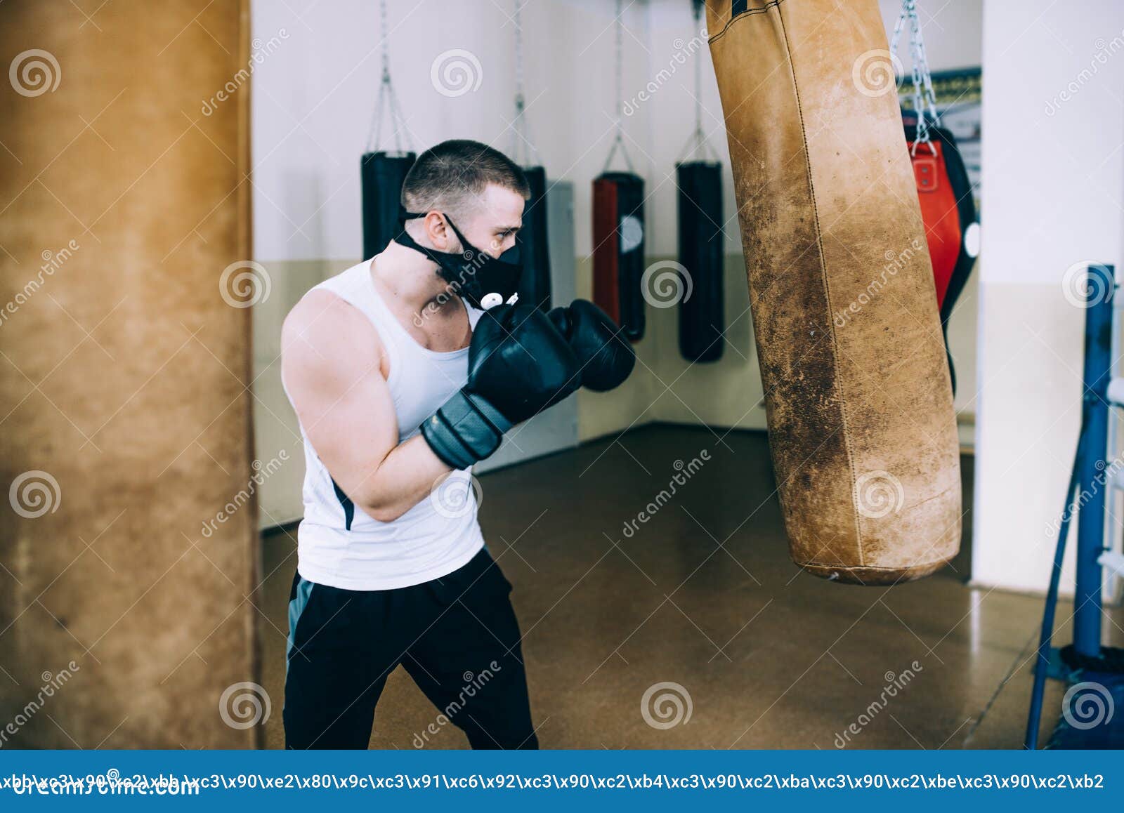 Preparation for Competitions Boxing Editorial Photography - Image of ...
