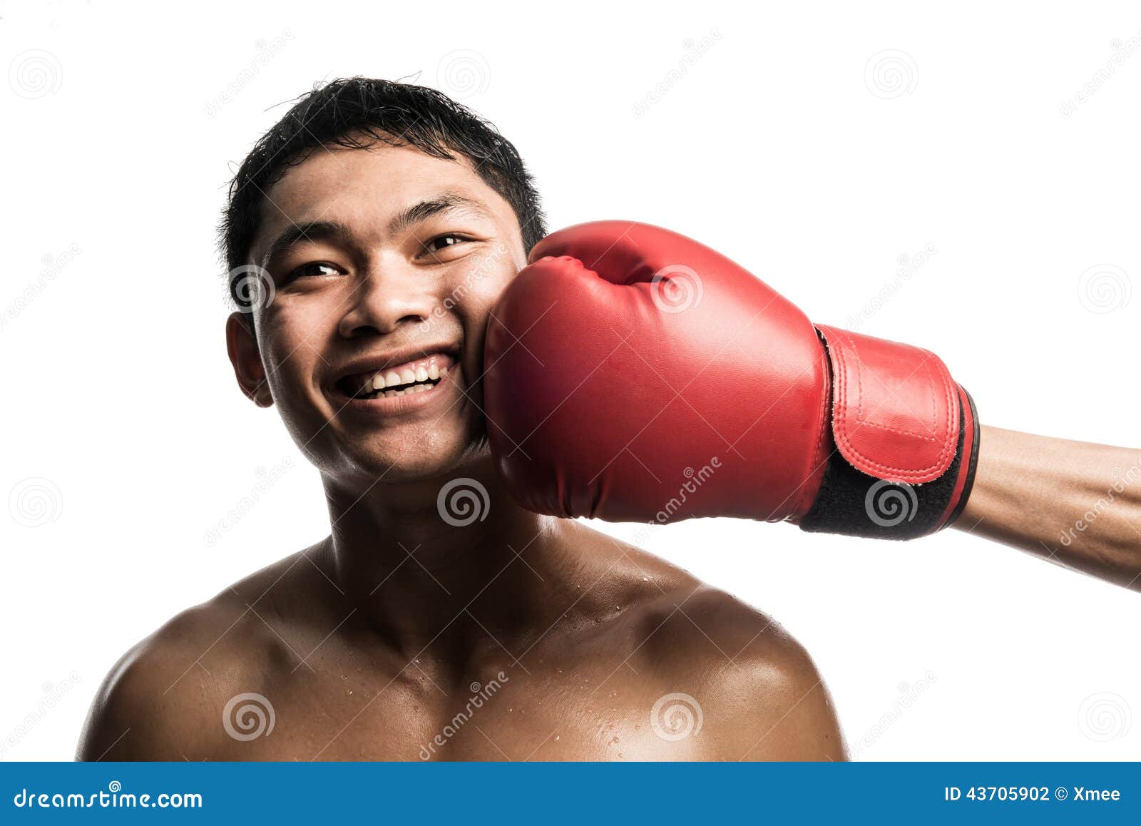 Boxing Punch In The Face