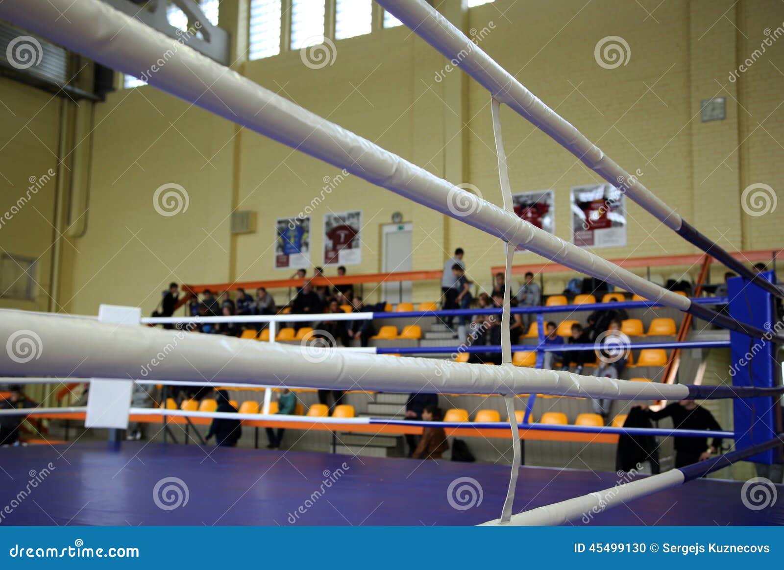 Boxing ring stock photo. Image of fight, athlete, sportsman - 45499130