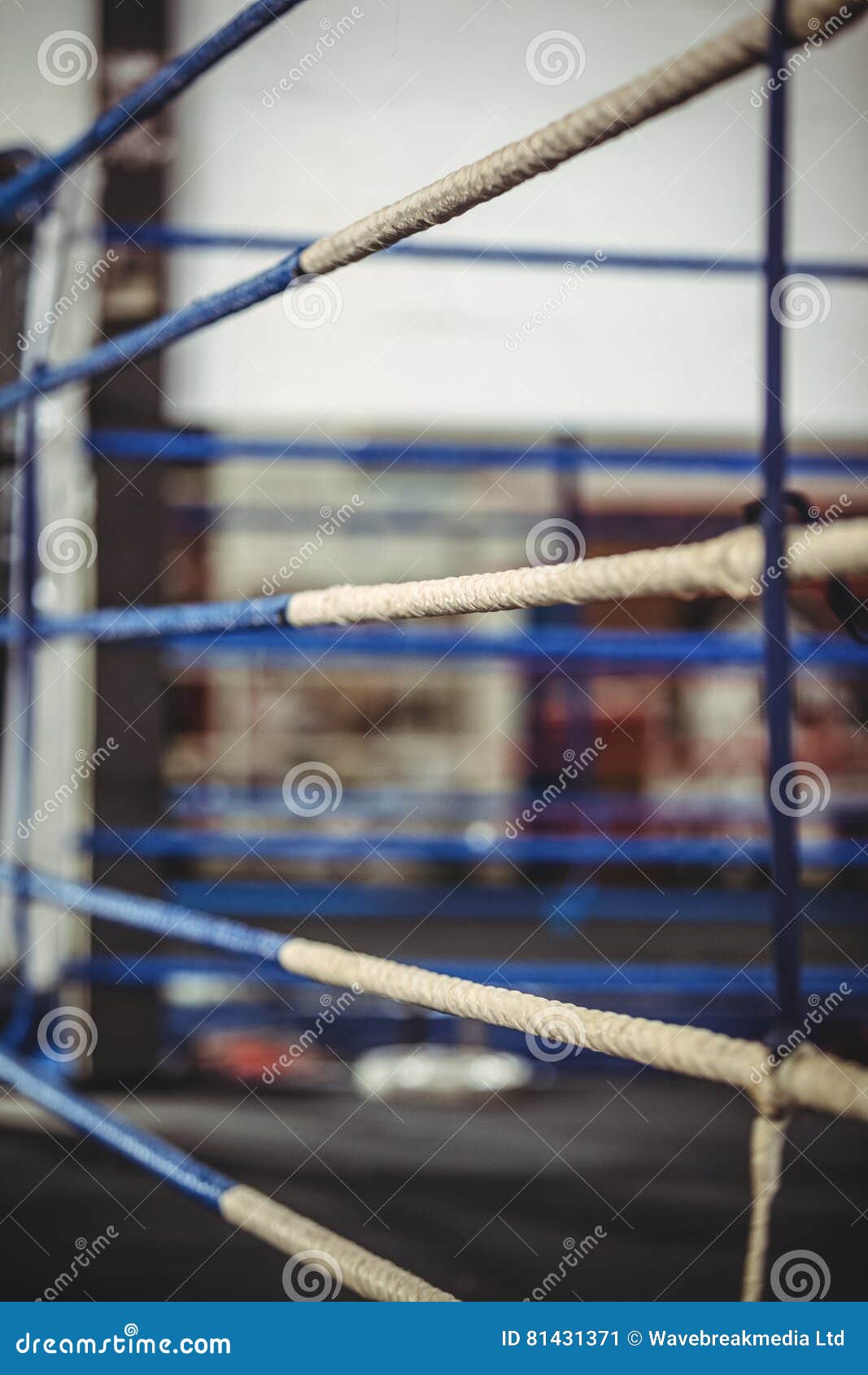 Boxing Ring in Fitness Studio Stock Image - Image of competition, ring ...