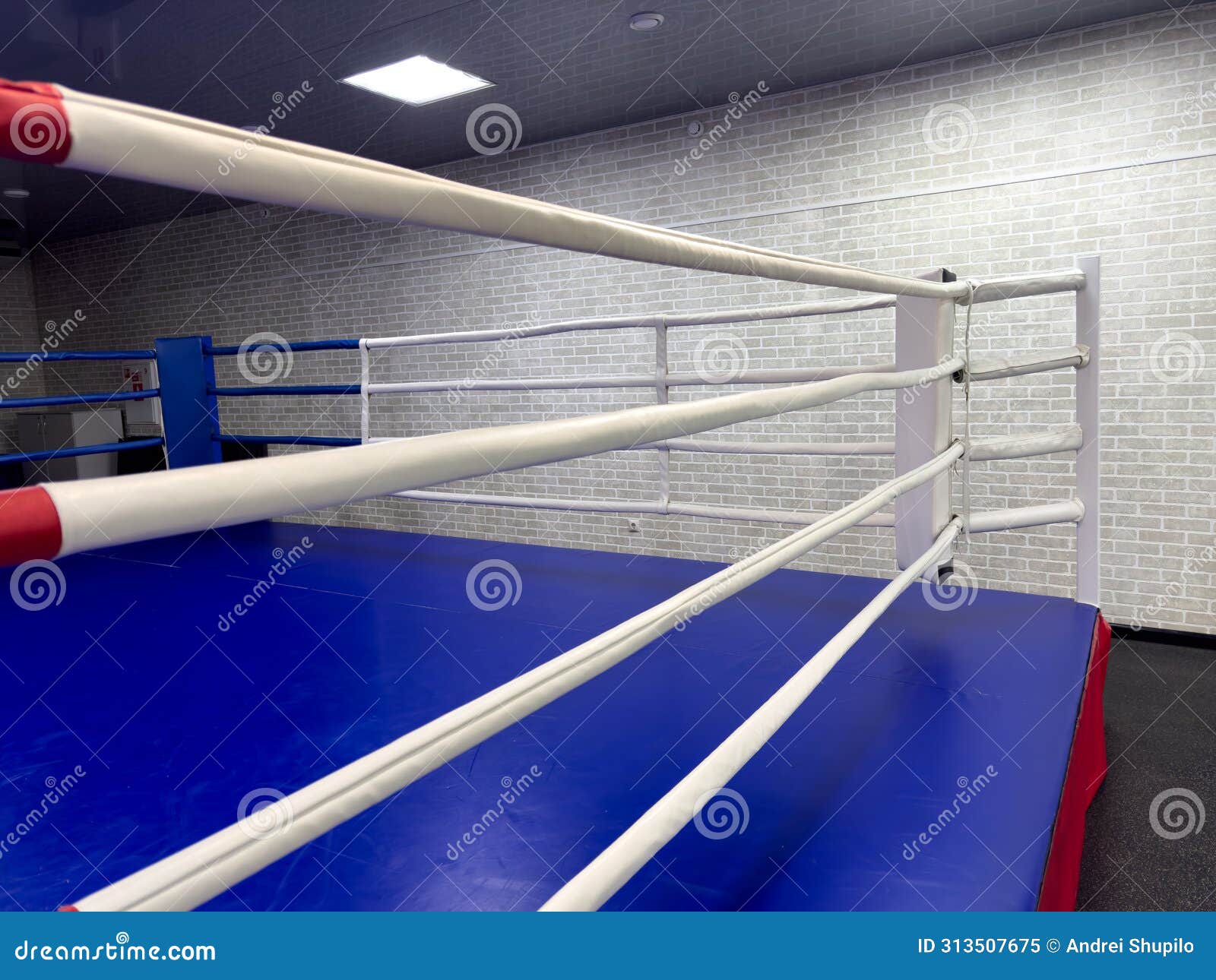 Boxing ring in the gym stock image. Image of muscular - 313507675
