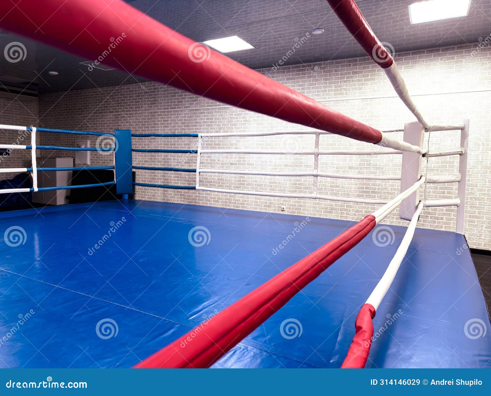Boxing ring in the gym stock image. Image of adult, fight - 314146029