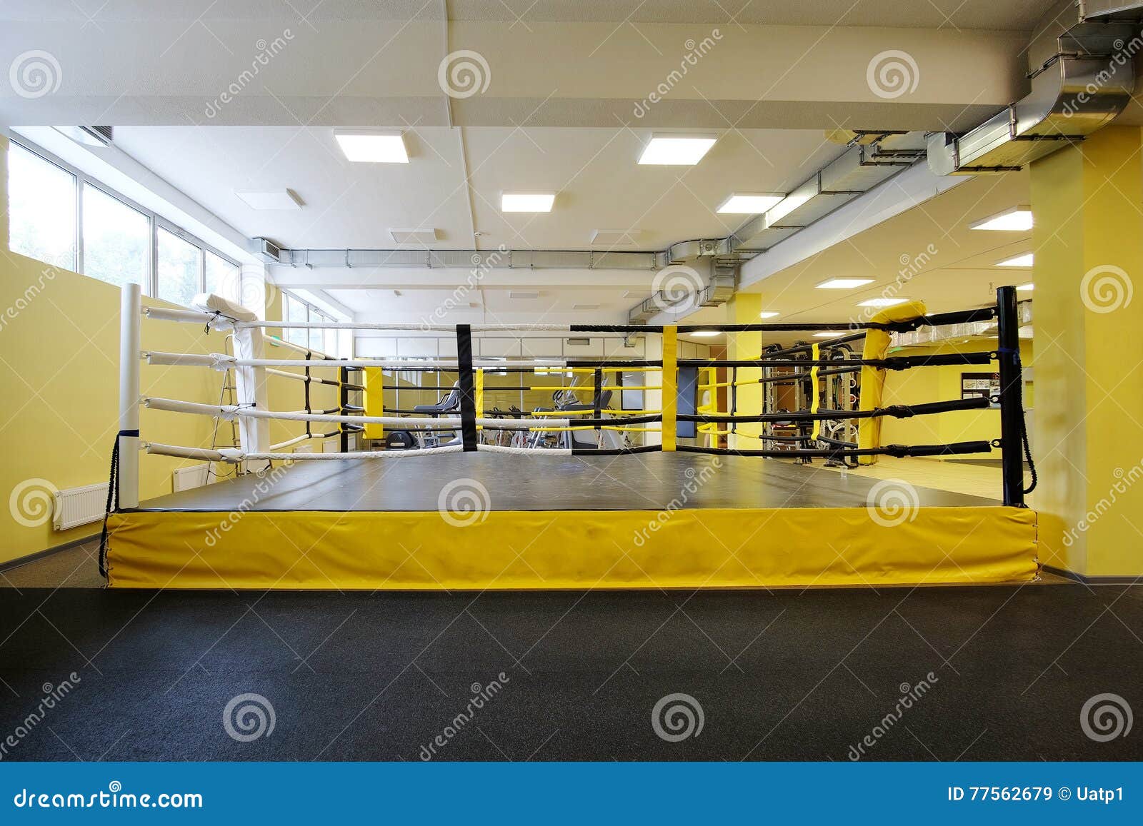 Boxing ring stock image. Image of battle, power, grapple - 77562679