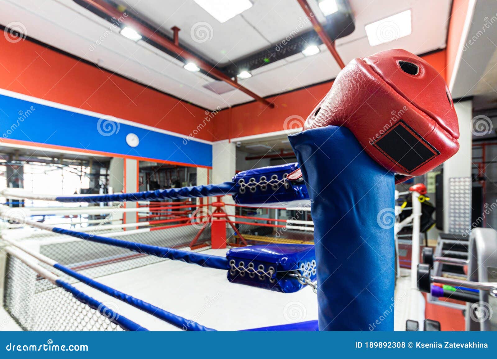Boxing Ring in the Interior of the Gym. Stock Photo - Image of leisure ...