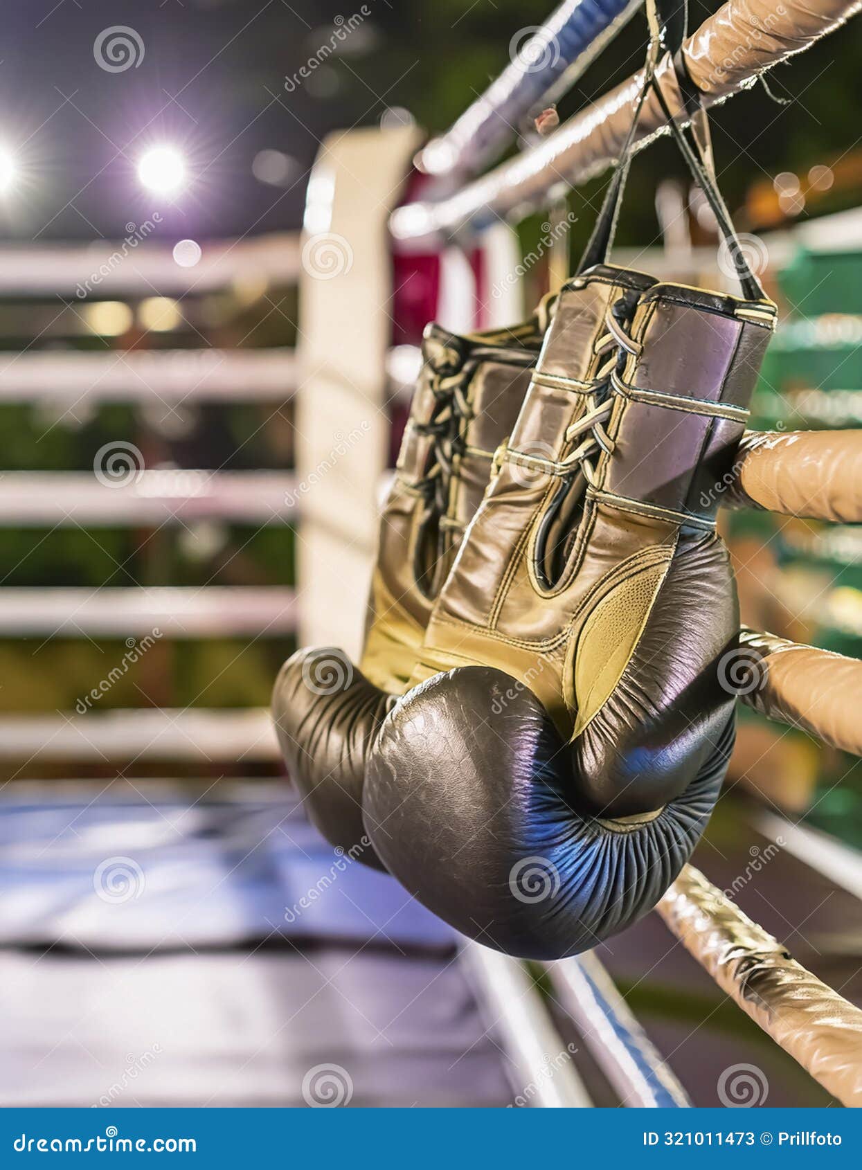 Boxing scenery stock illustration. Illustration of western - 321011473