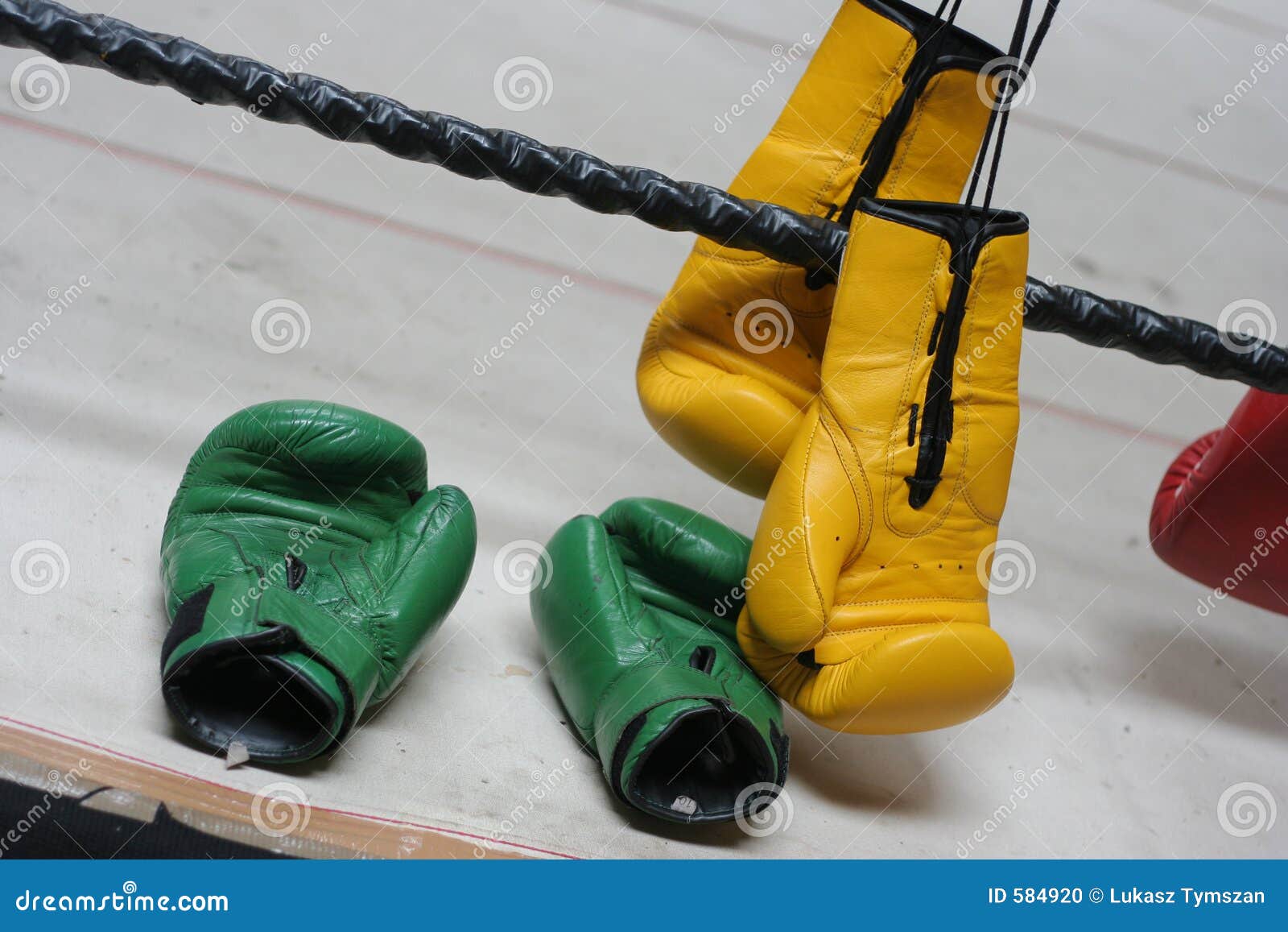 Boxing tool. stock photo. Image of gloves, entertainment - 584920