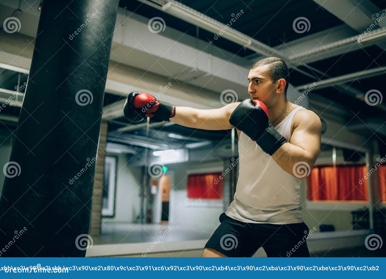 Boxing Training. Champion`s Training Stock Image - Image of sport ...