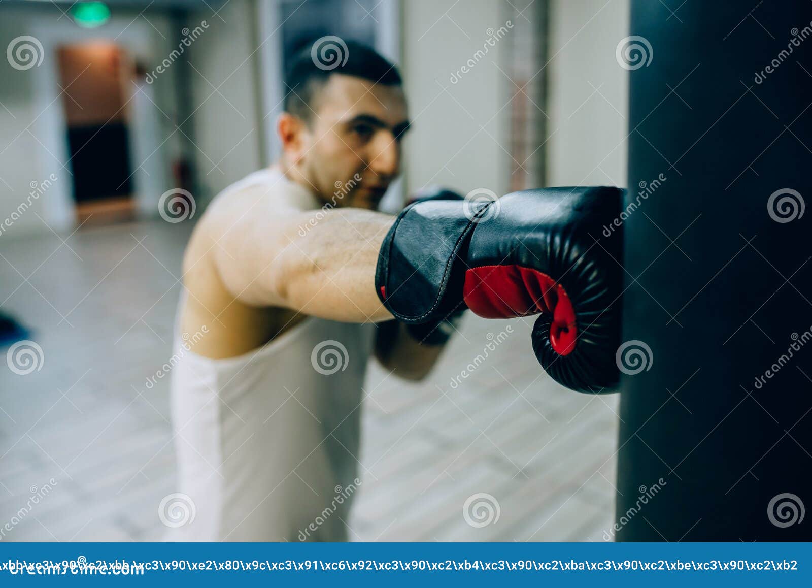 Boxing Training. Champion`s Training Stock Image - Image of portrait ...