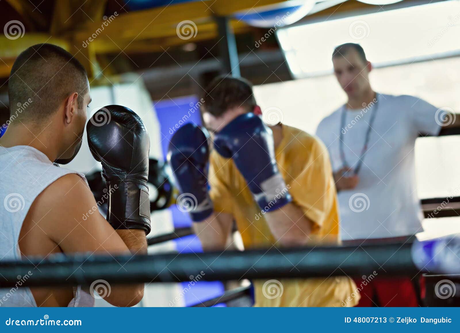 Boxing Training stock image. Image of caucasian, kick - 48007213