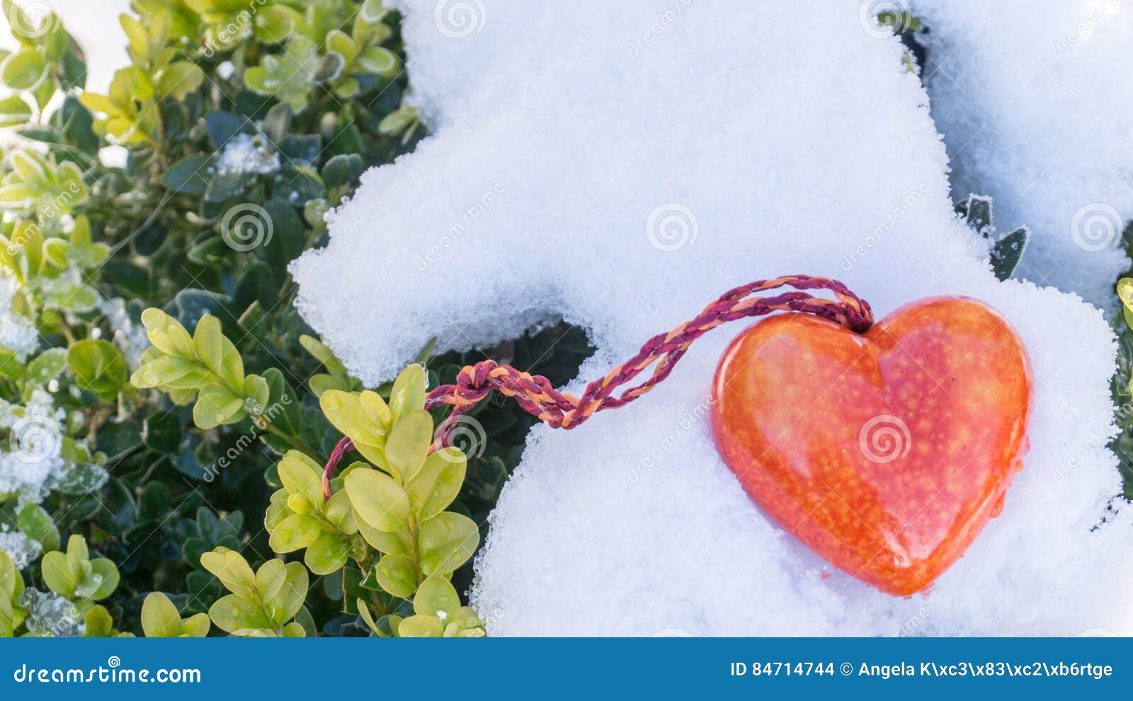 Boxwood Snow Red Heart Stock Photos - Free & Royalty-Free Stock Photos ...