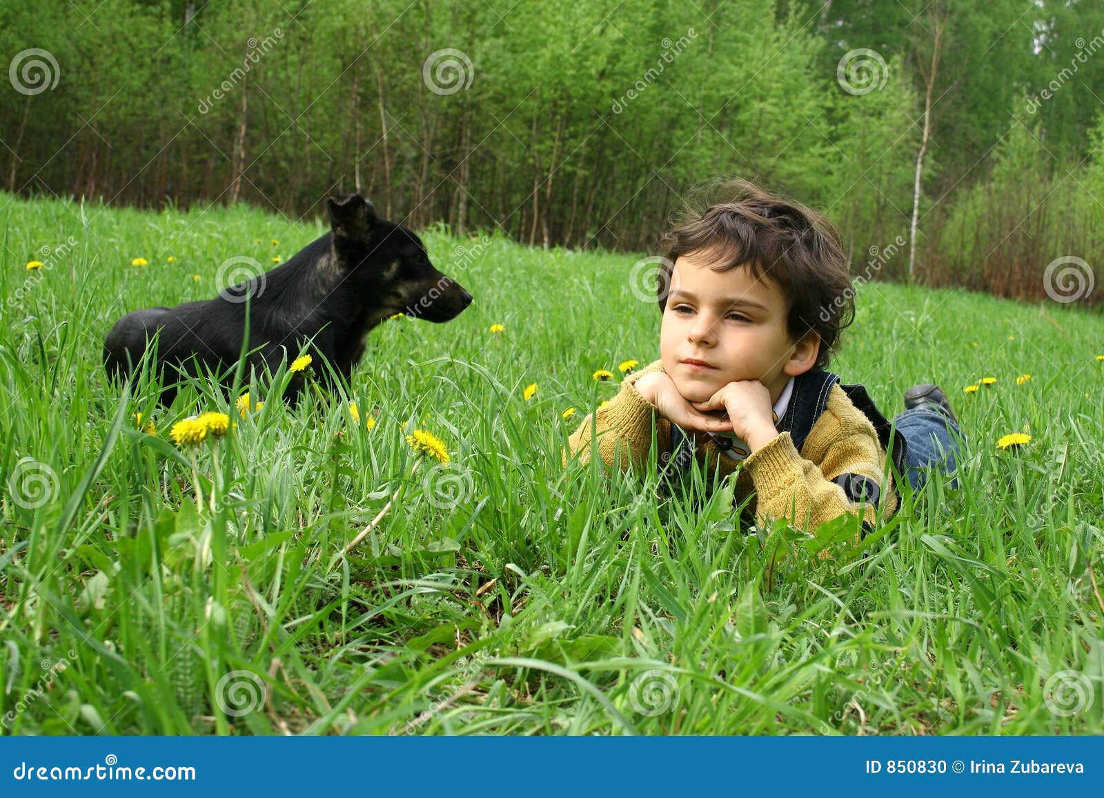 The boy and а dog. stock photo. Image of people, wood, field - 850830