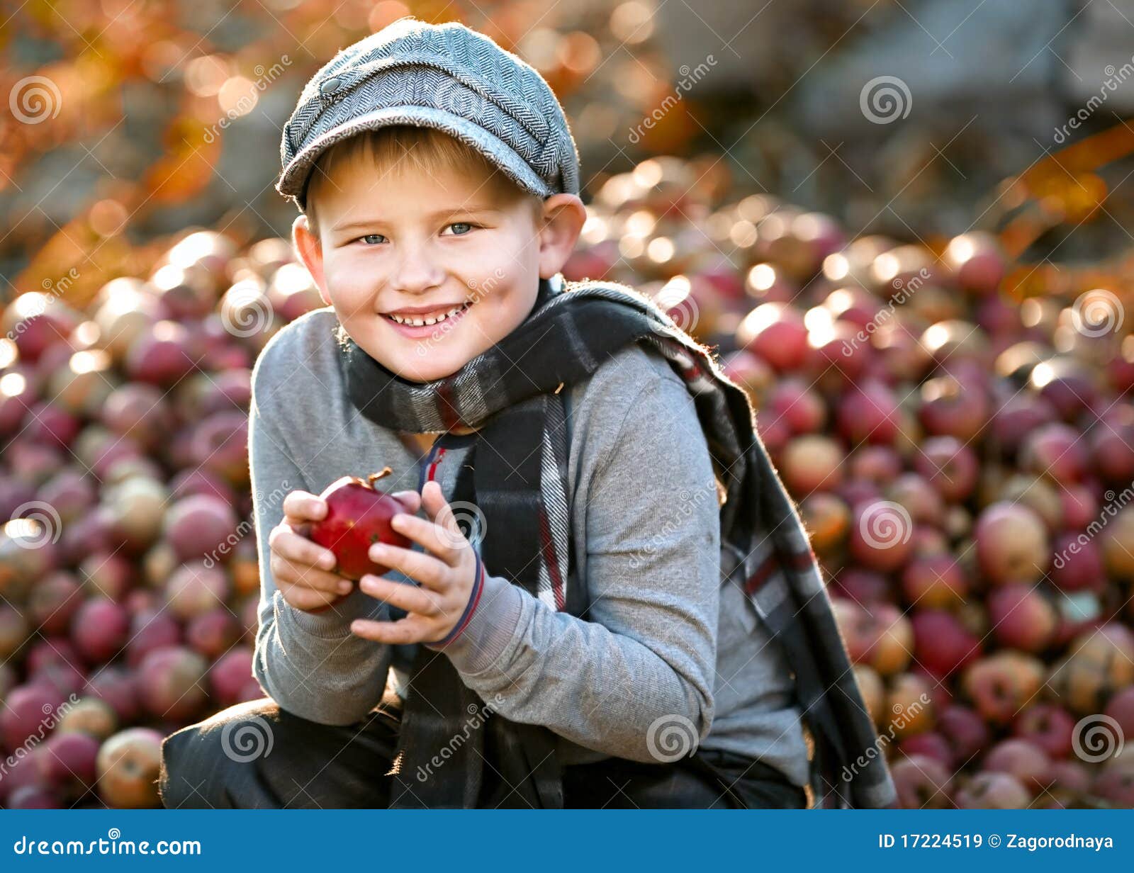 Boy with apples stock image. Image of harvest, fruit - 17224519