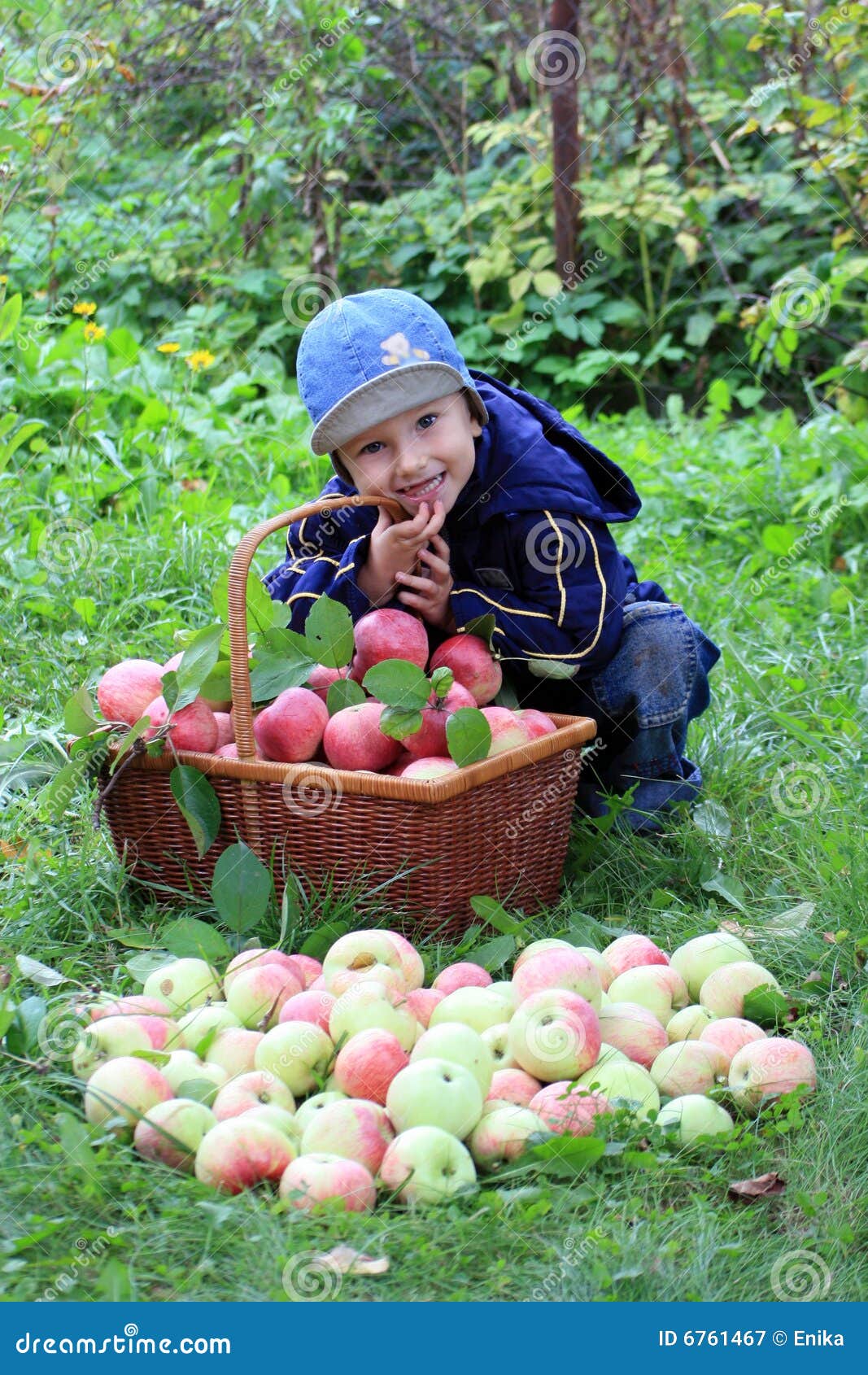 Boy with apples stock image. Image of people, person, fall - 6761467