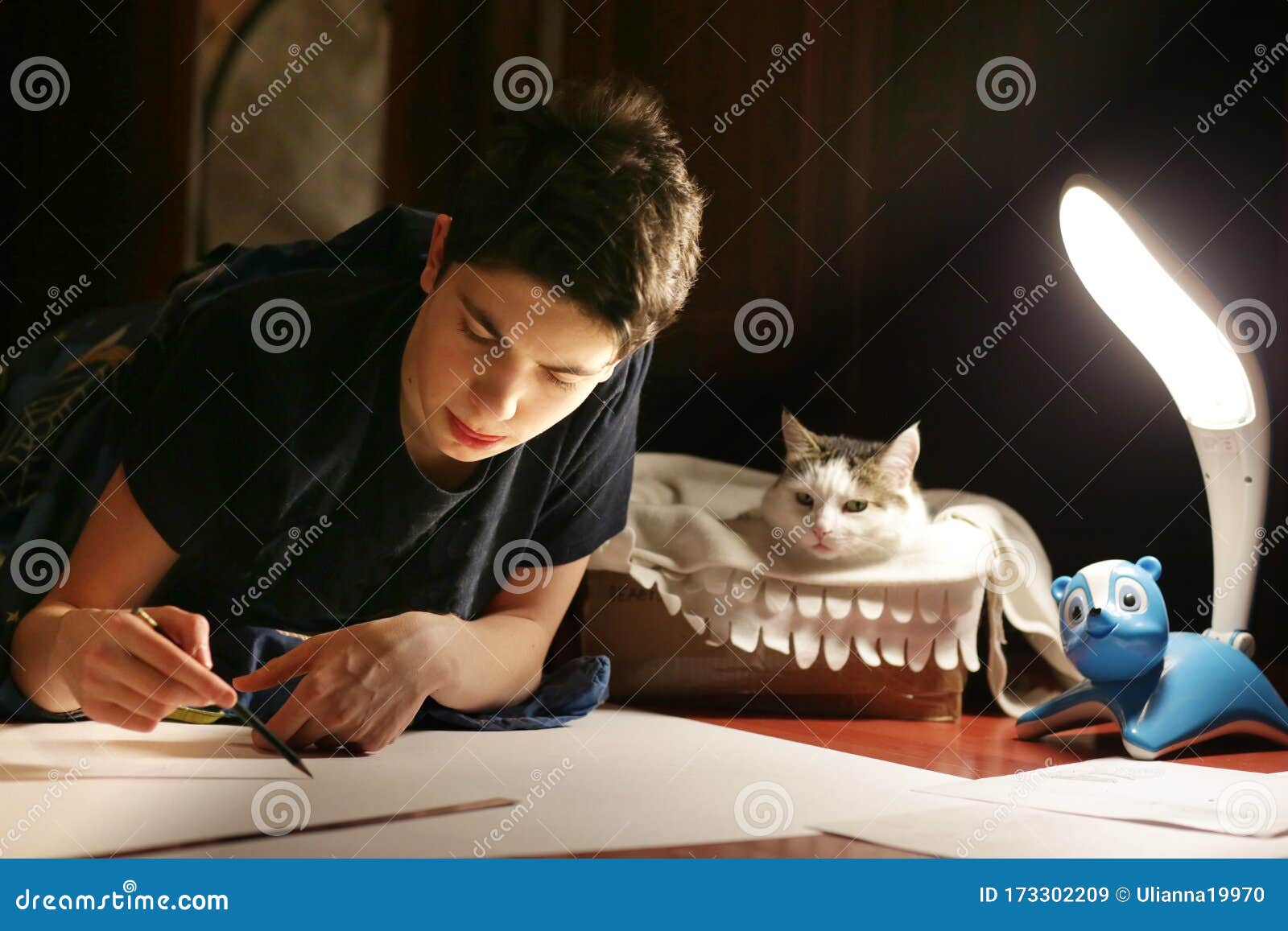 Boy Architect Student Working on Drafting Project in Night with Cat in ...