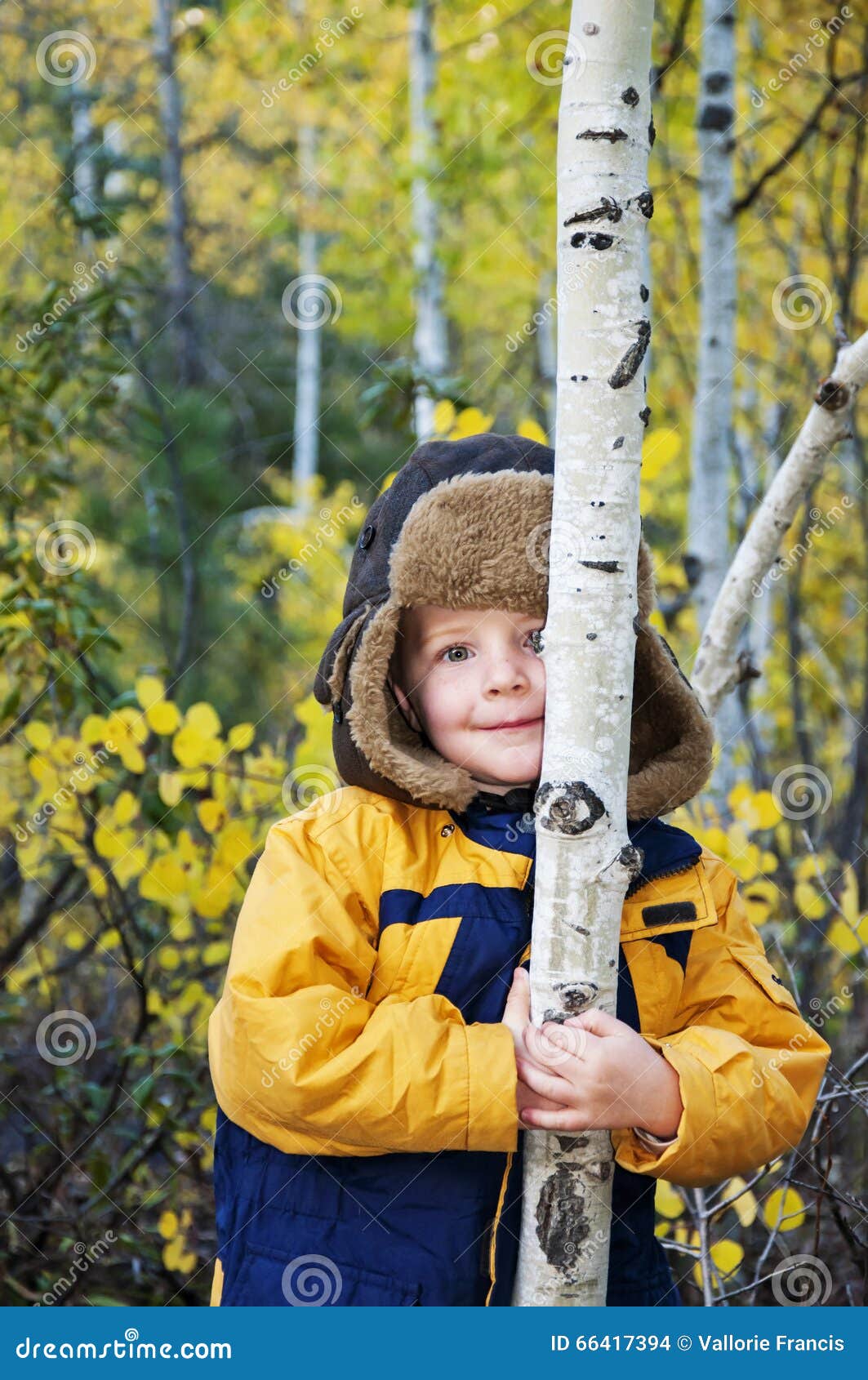 Boy in Aspen forest stock photo. Image of child, portrait - 66417394