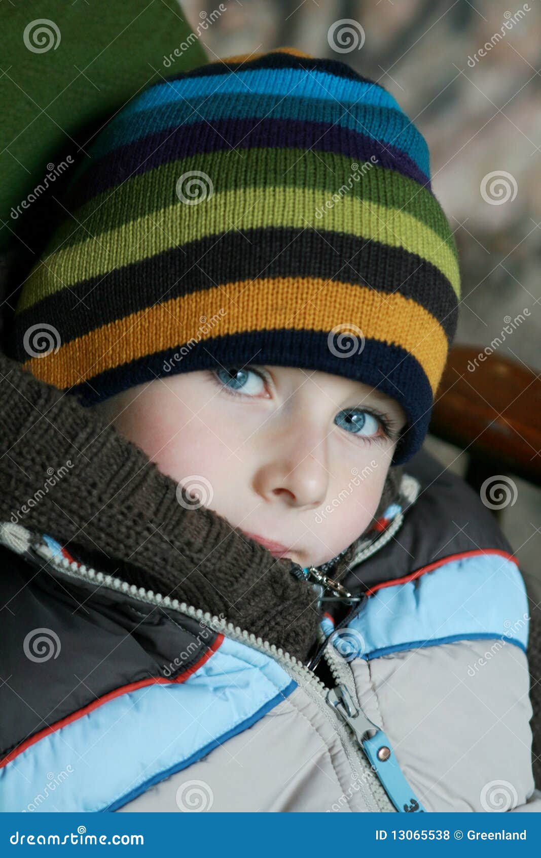 Boy in autumn stock photo. Image of looks, expression - 13065538