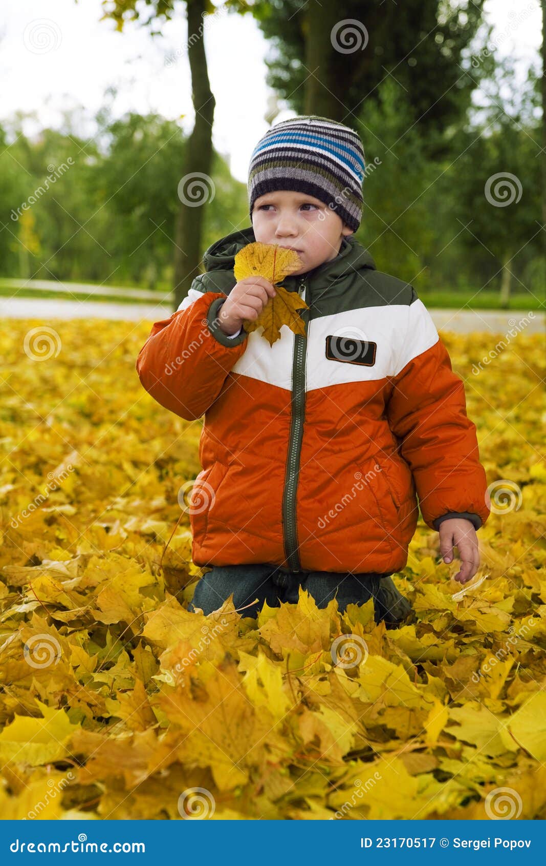 Boy in autumn foliage stock image. Image of clothes, jacket - 23170517