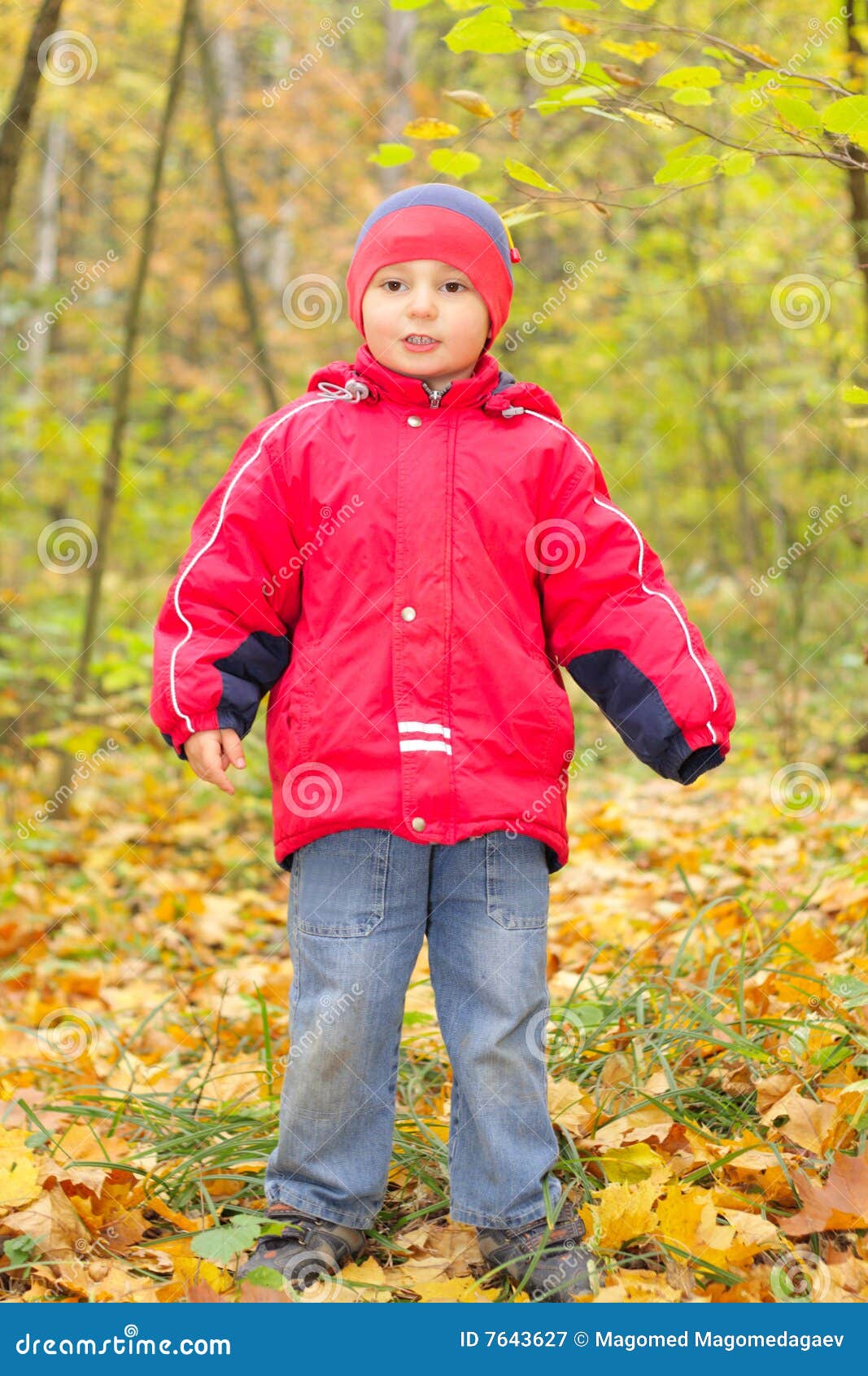 Boy in autumn forest stock image. Image of autumn, forest - 7643627