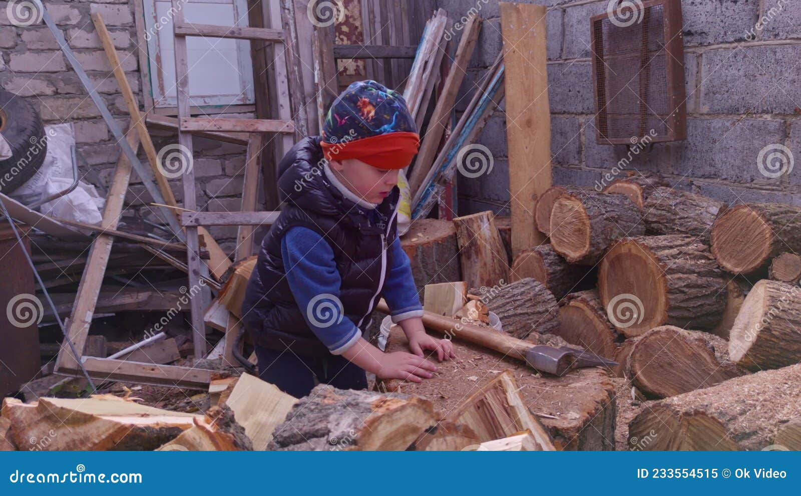 Boy with Ax stock video. Video of purposeful, wood, assistance - 233554515