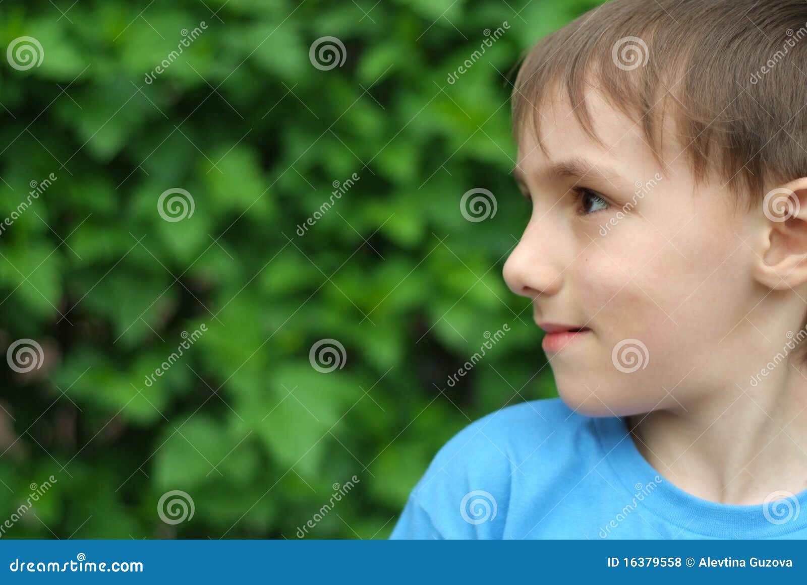 Boy is on the Background of Nature Stock Photo - Image of dreams ...