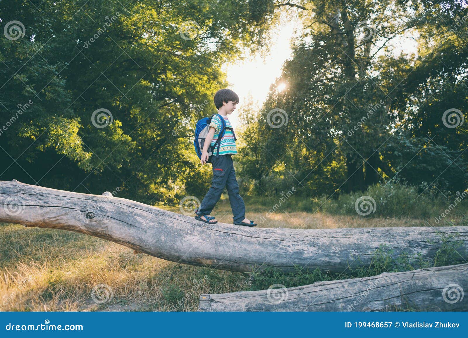 A Boy with a Backpack Walks Along the Trunk of a Fallen Tree, a Child ...
