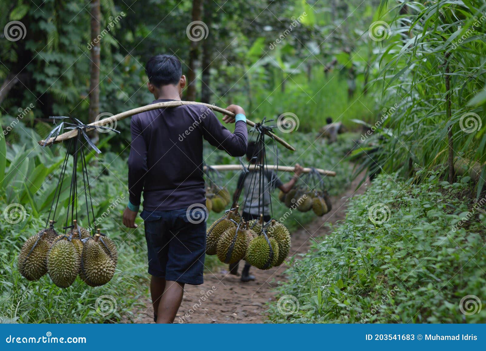 Boy of baduy tribe editorial stock photo. Image of clothing - 203541683