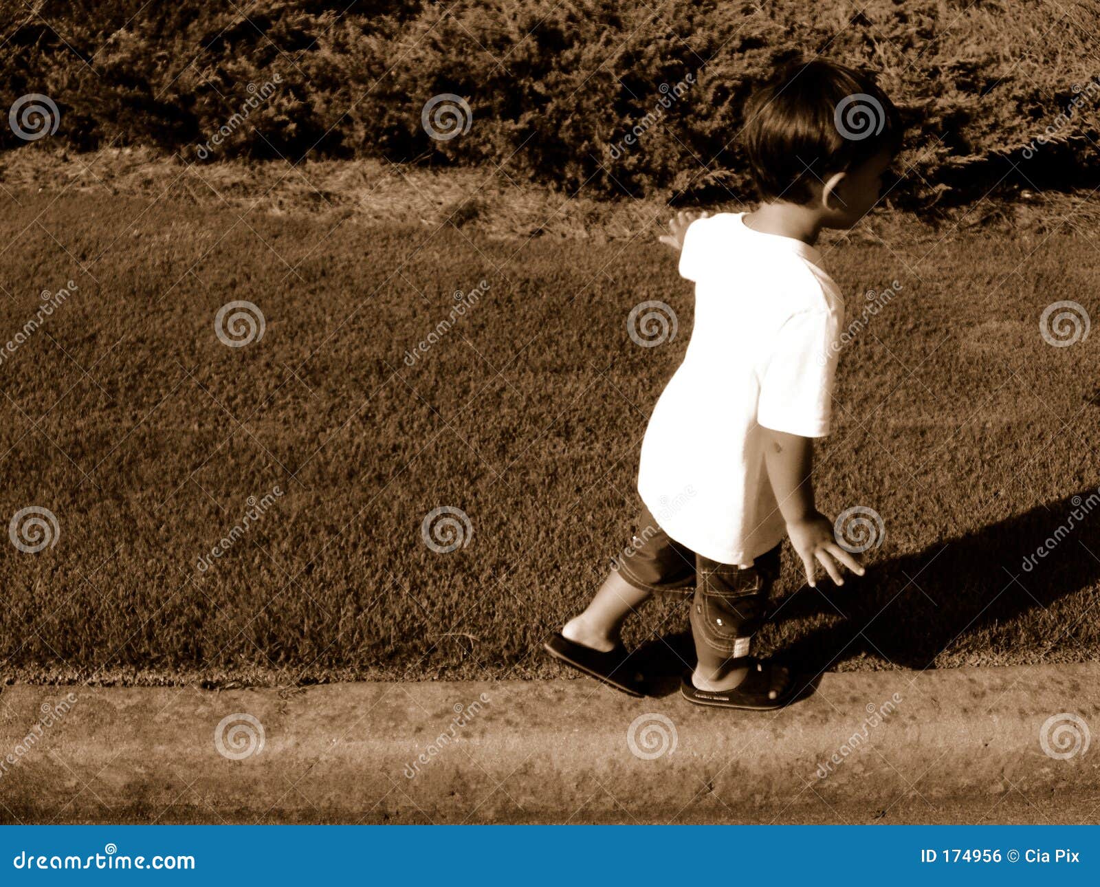 Boy balance stock photo. Image of sunny, summer, grass - 174956