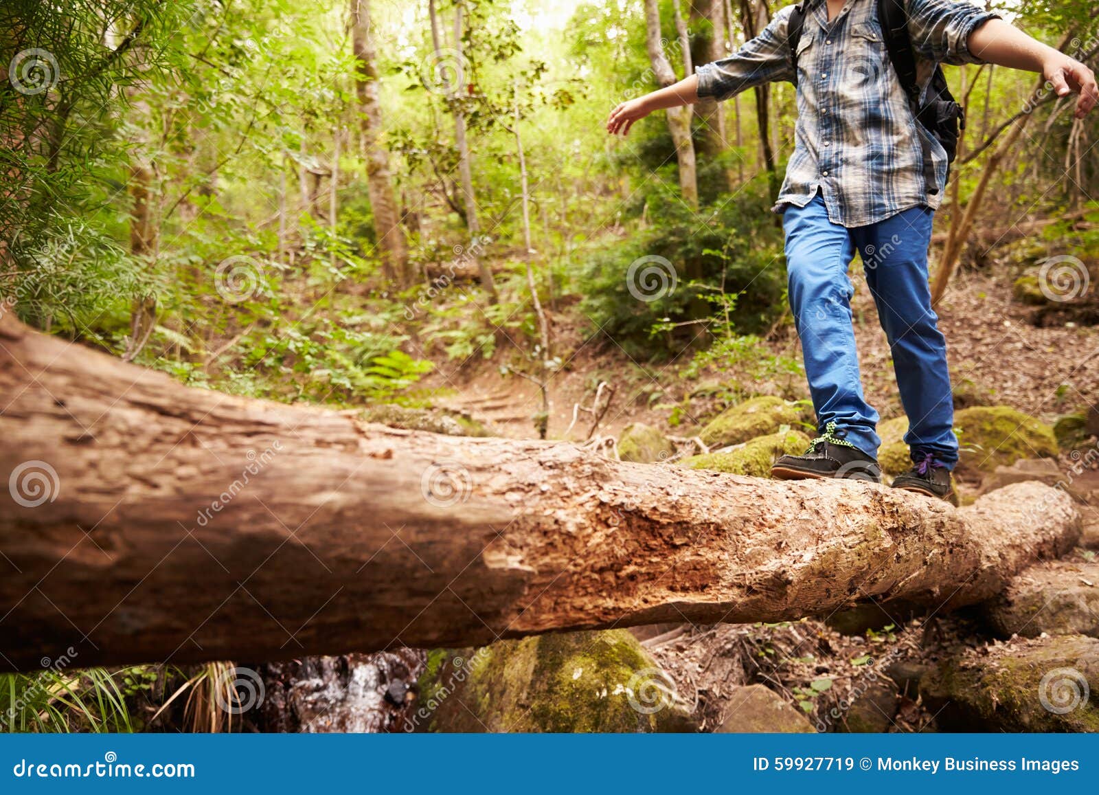 Boy Balancing on a Fallen Tree To Cross a Stream in a Forest Stock ...