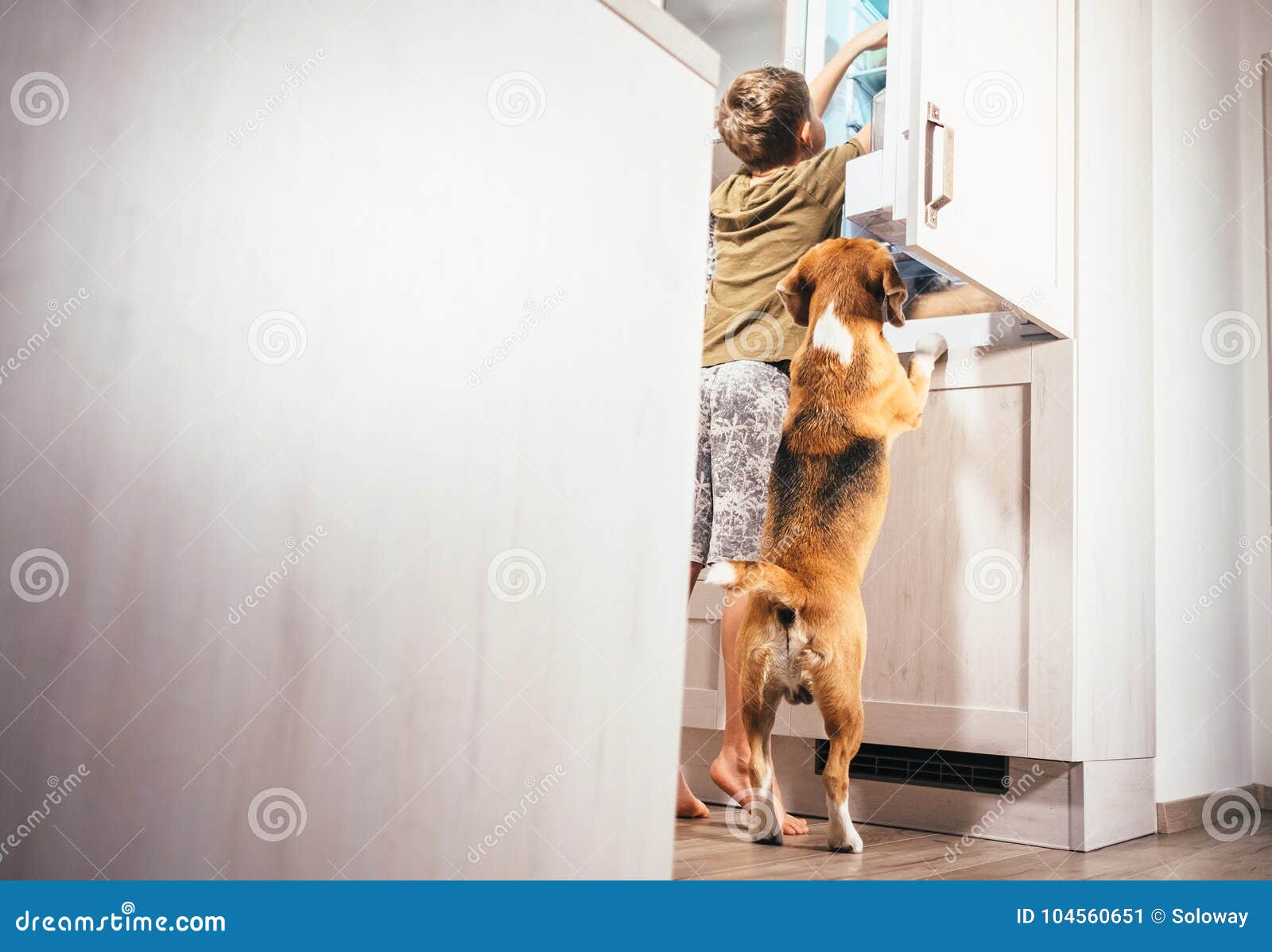 Boy and Beagle Dog Look Something Delicious in Refrigerator Stock Image ...