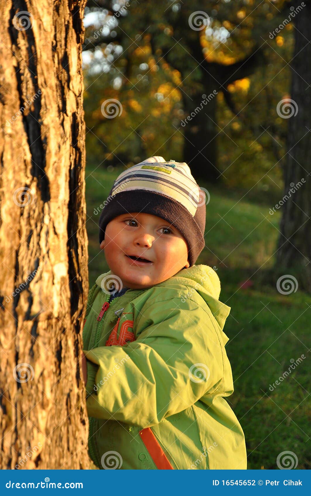 Boy behind tree stock photo. Image of little, child, happy - 16545652