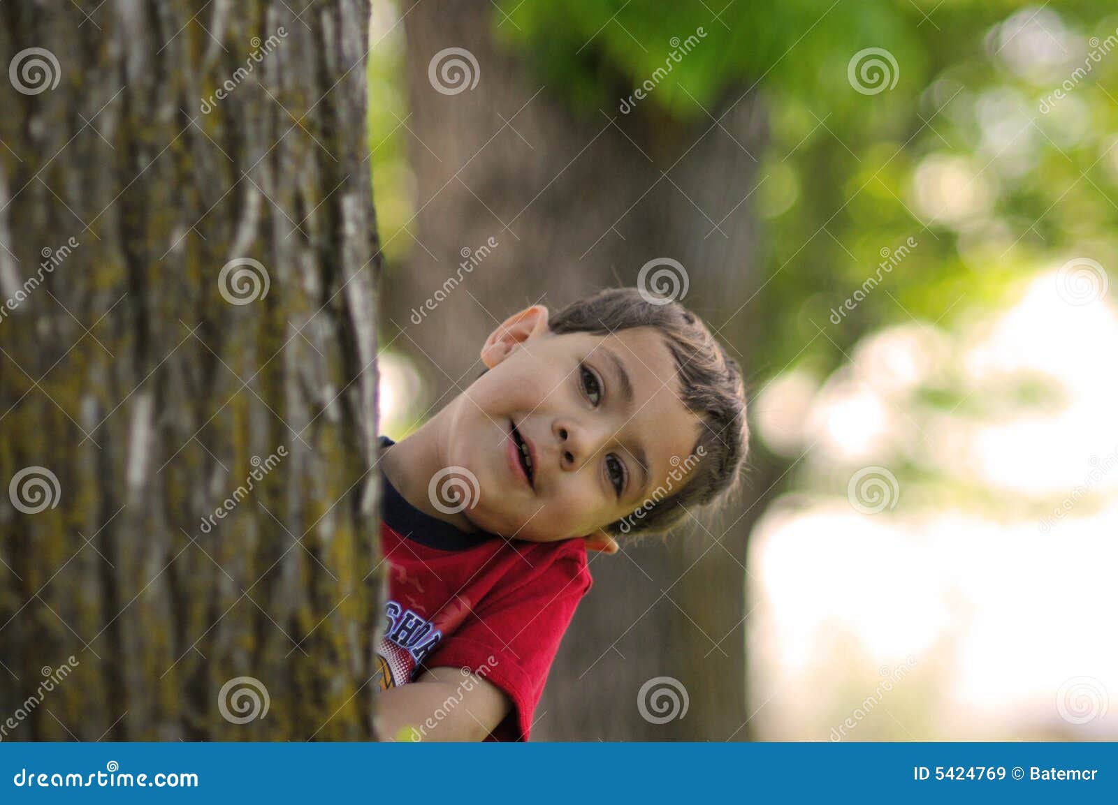 Boy behind tree stock image. Image of shirt, tree, trees - 5424769
