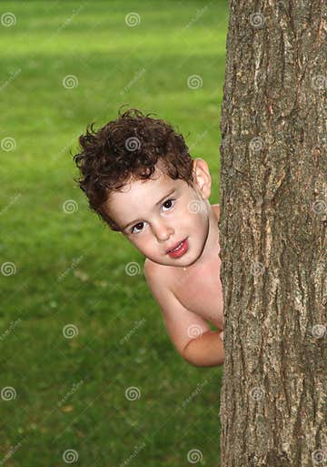 Boy behind tree stock image. Image of looking, headshot - 6074829