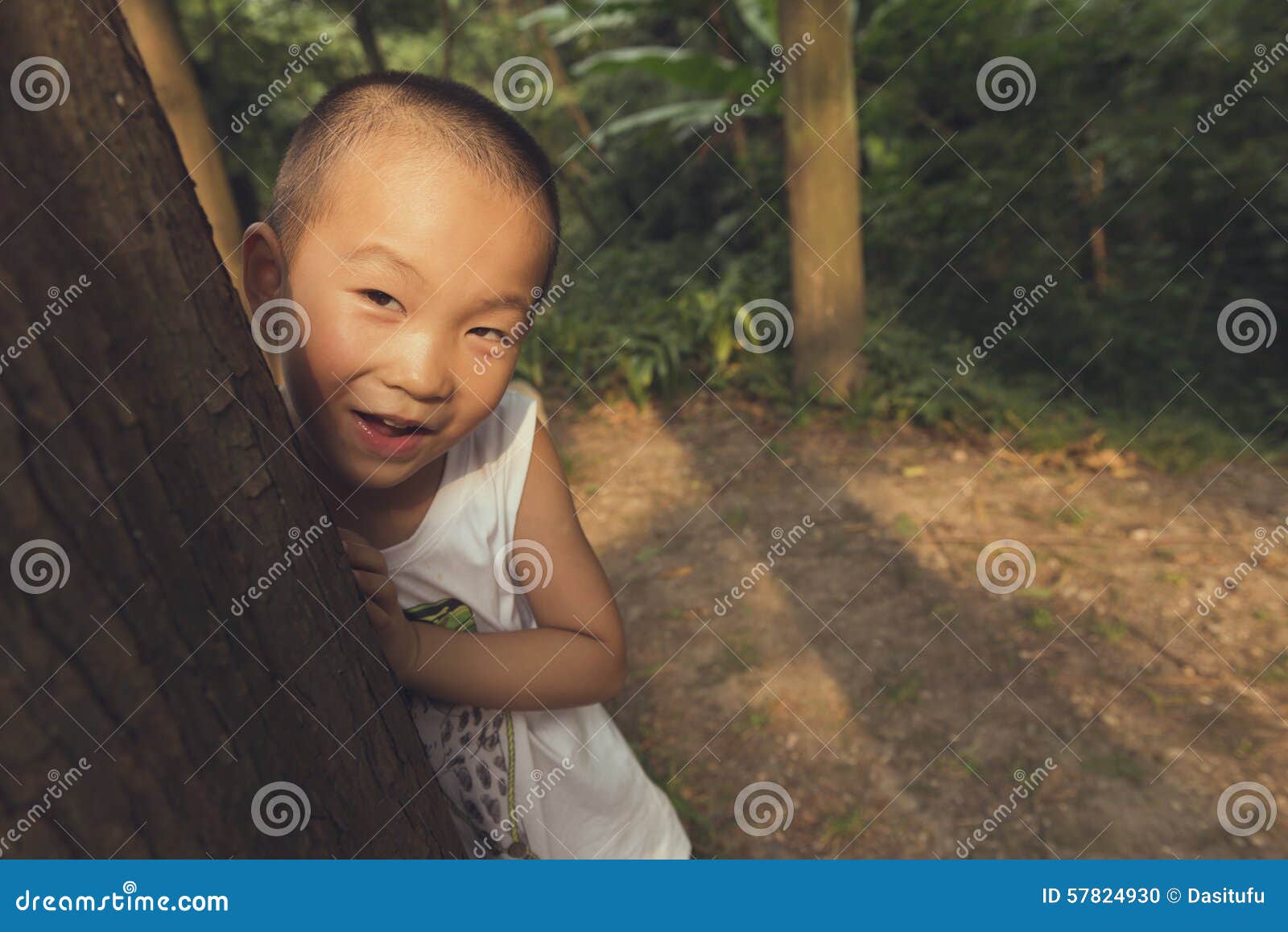 Boy hiding behind tree stock photo. Image of childhood - 57824930
