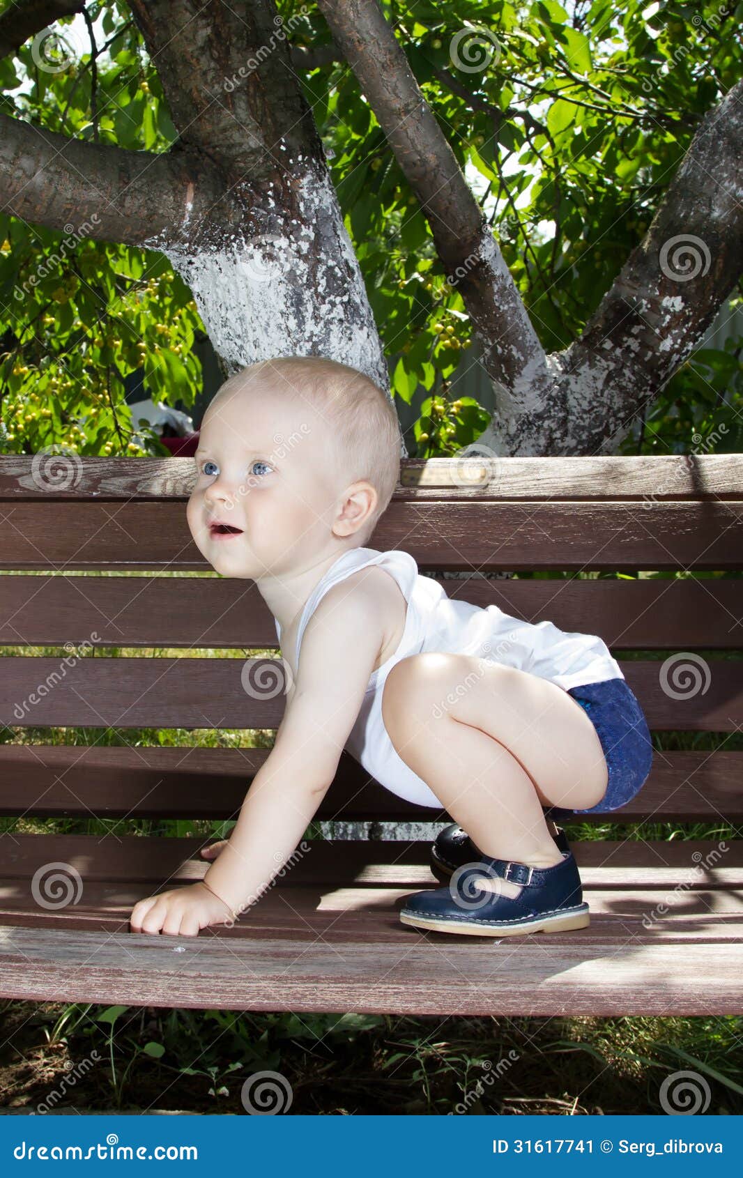 Boy on bench stock image. Image of male, garden, nature - 31617741
