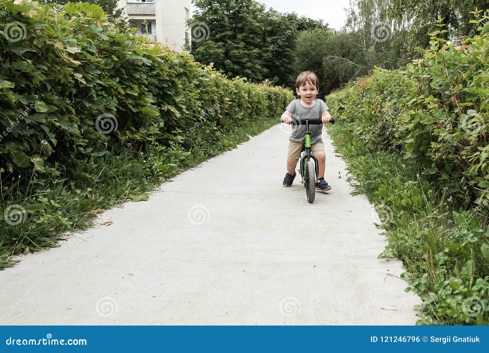Boy on a bicycle stock photo. Image of balance, childhood - 121246796