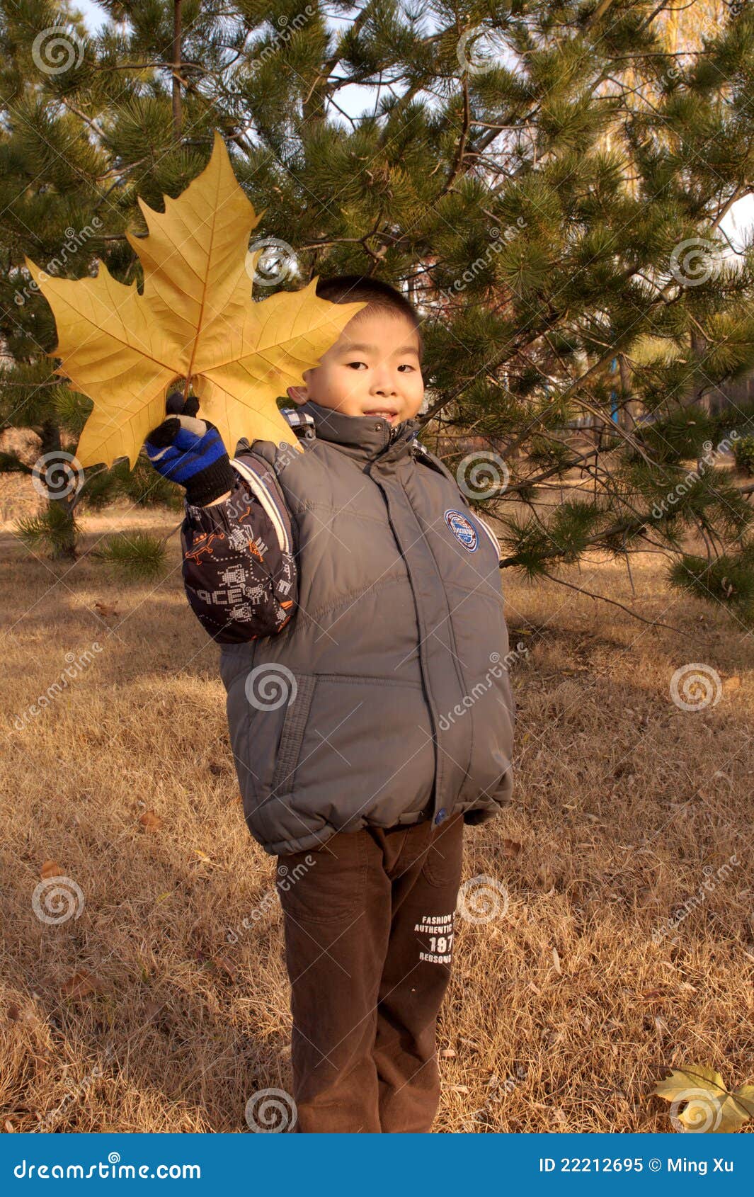 Boy with the big leaves stock image. Image of expression - 22212695