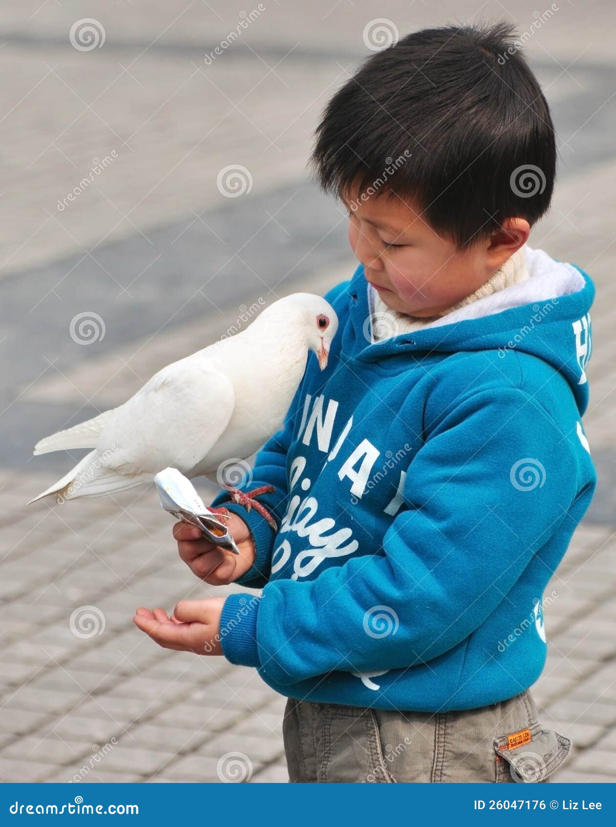 Boy and bird stock photo. Image of asia, male, playground - 26047176