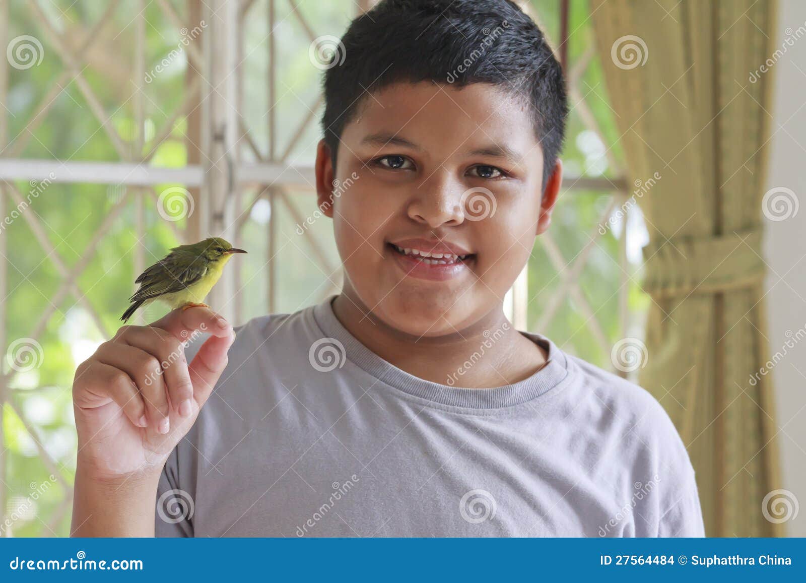 Boy and bird stock photo. Image of enjoyment, animal - 27564484