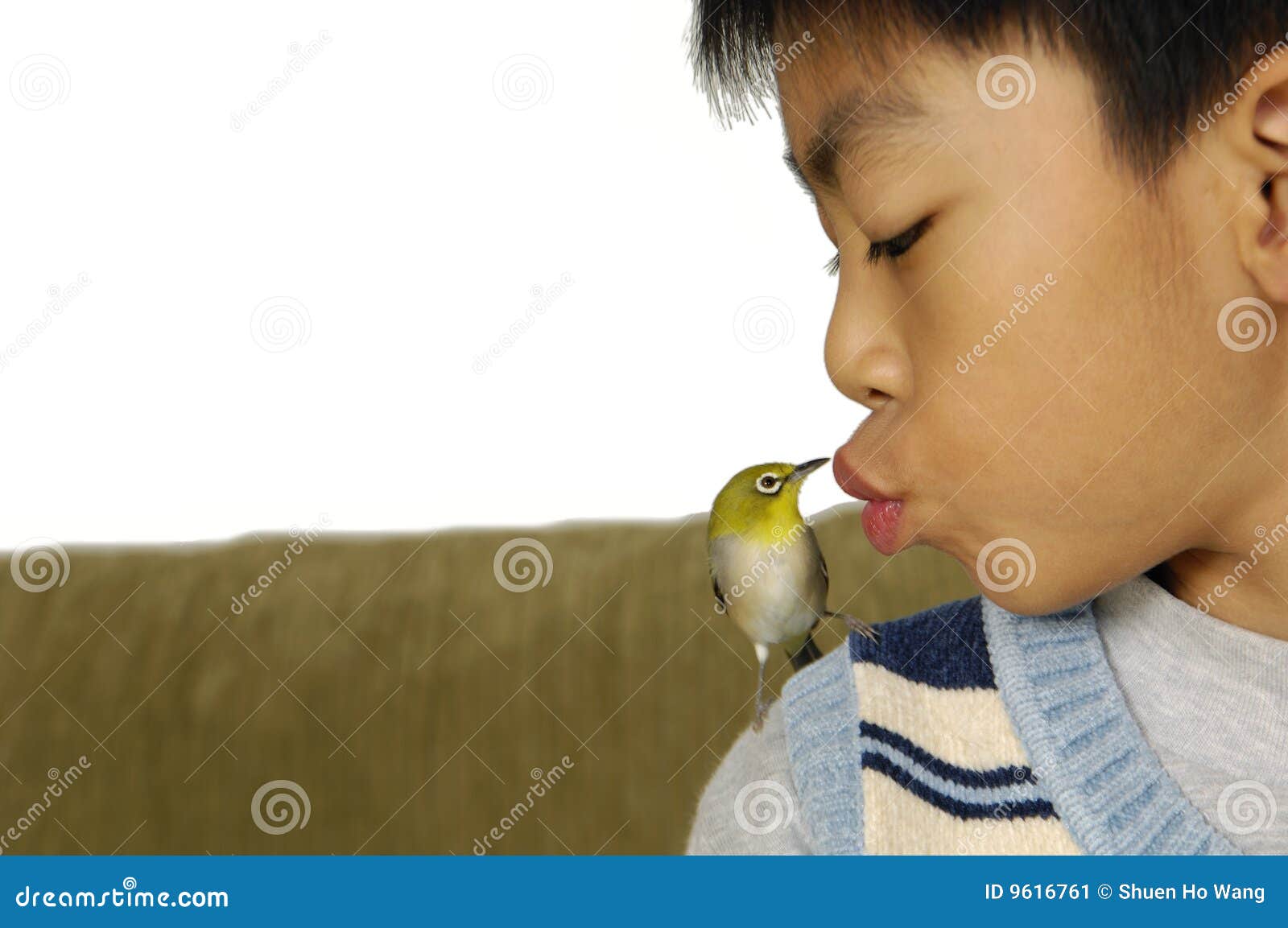 Boy and Bird stock image. Image of bird, little, precious - 9616761