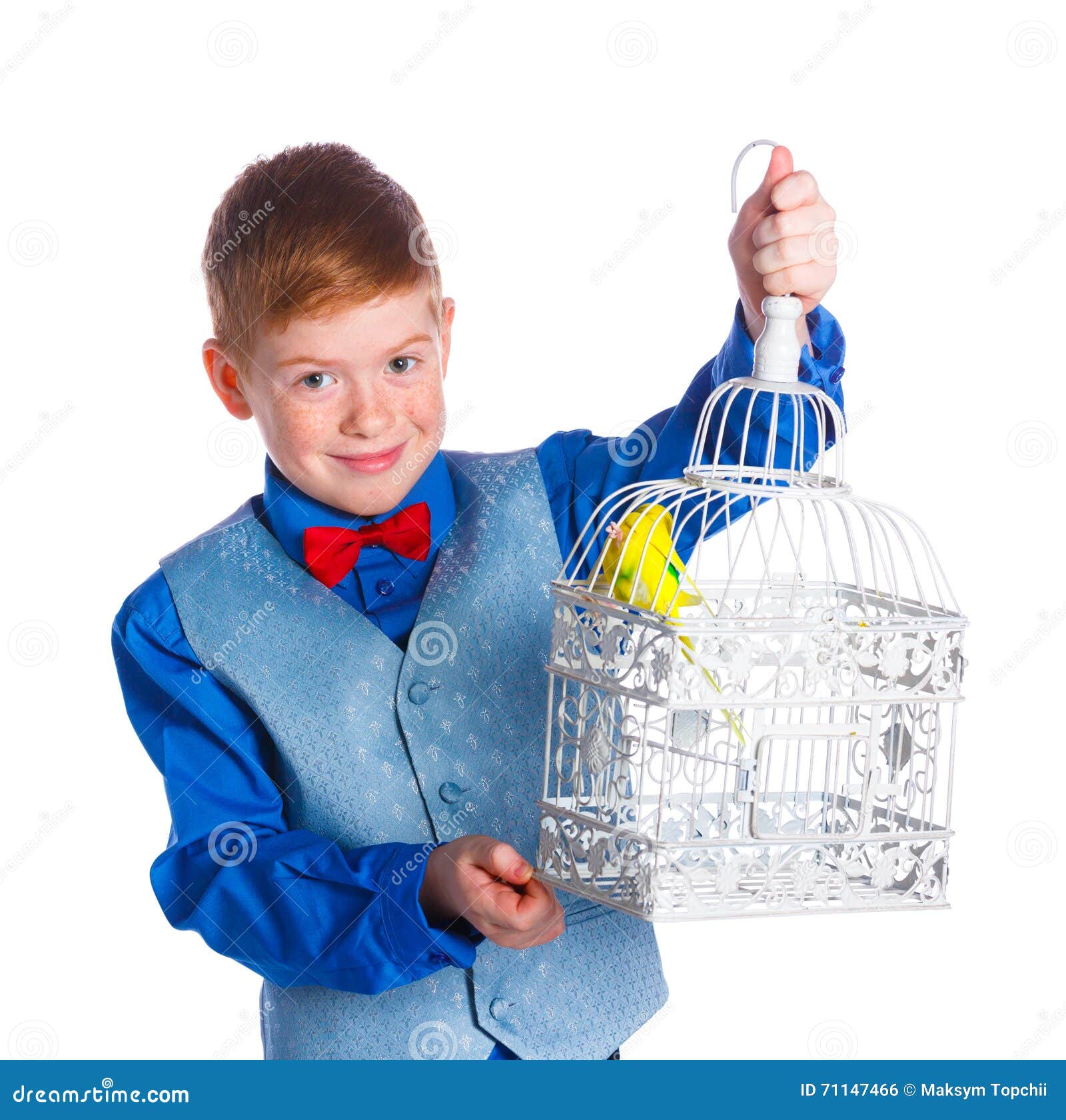 Boy with a bird stock photo. Image of feathers, childhood - 71147466