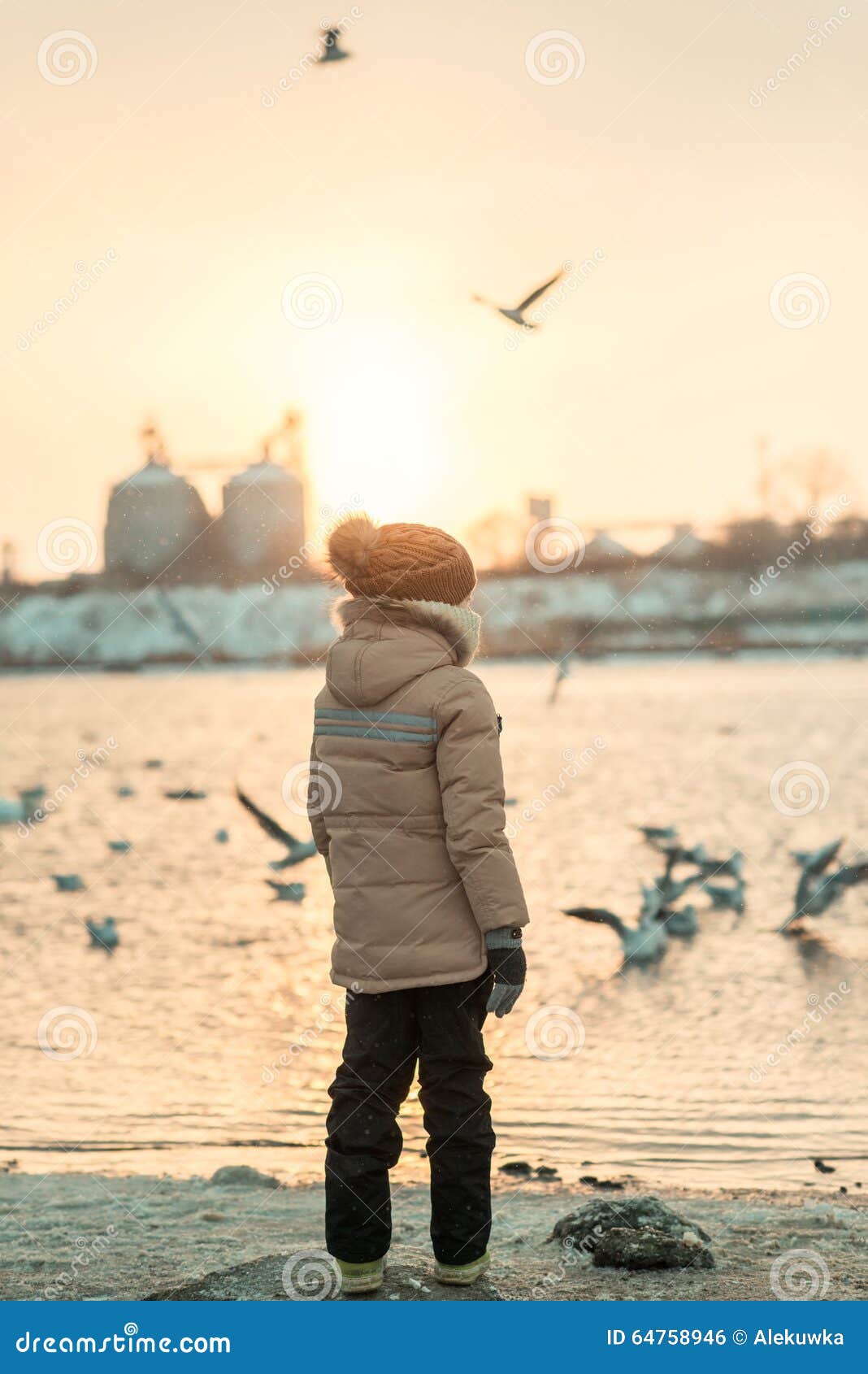 A Boy and a Bird on the River Stock Photo - Image of outdoors, pigeon ...