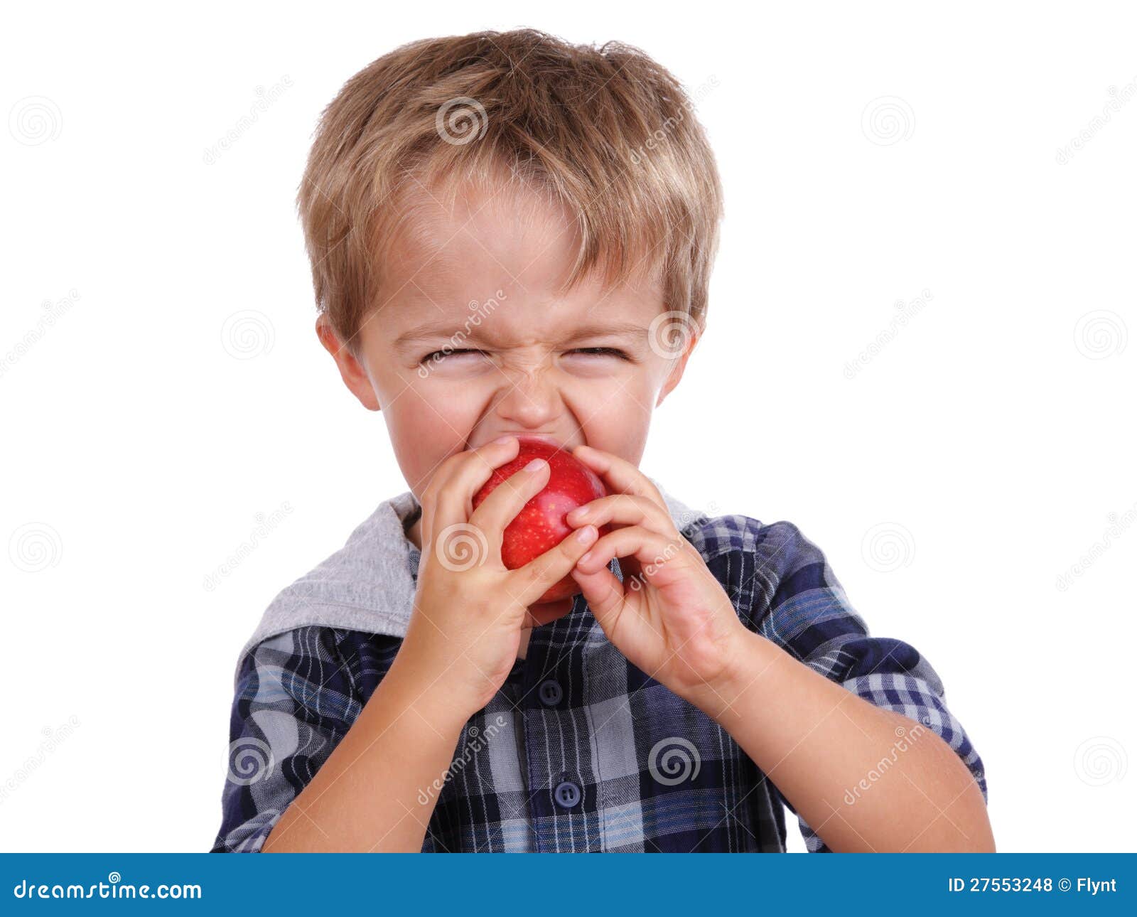Boy biting a red apple stock photo. Image of education - 27553248