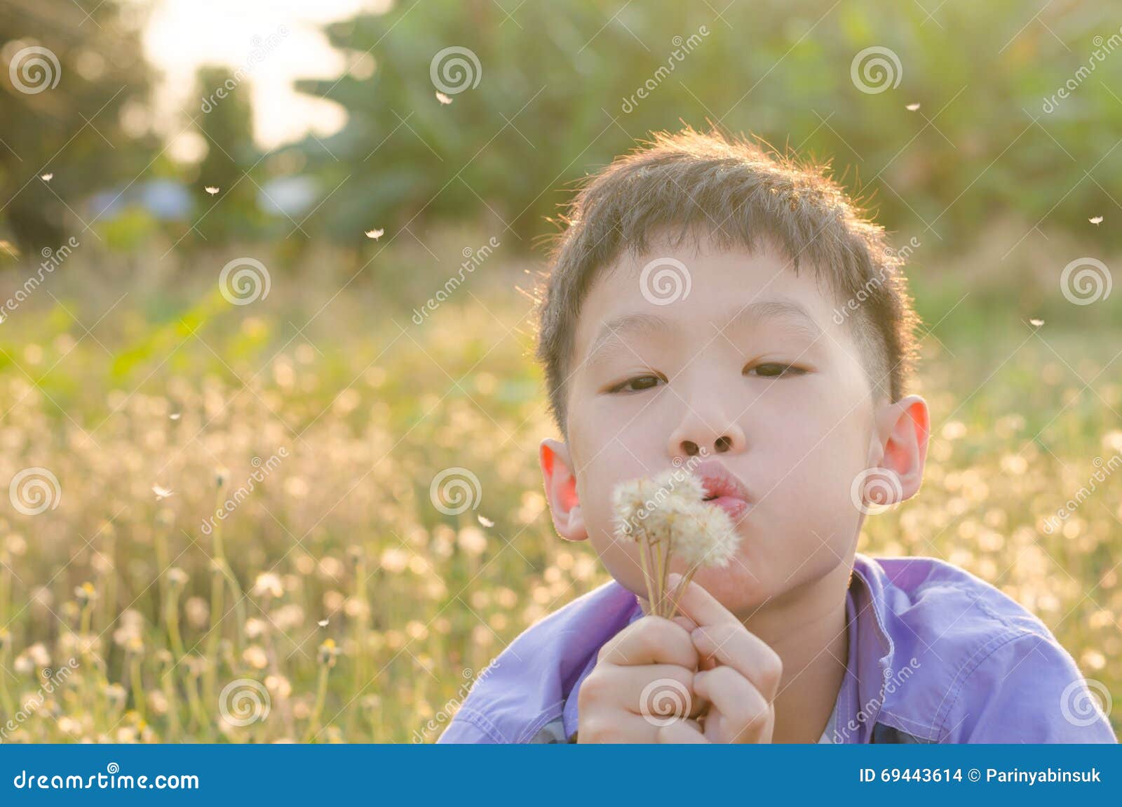 Boy Blowing Away Flower in Spring Stock Photo - Image of blowing ...