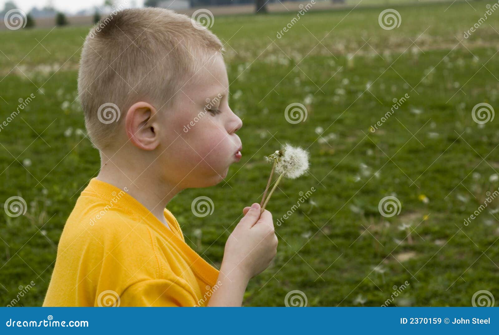 Boy blowing dandelion stock image. Image of dandelion - 2370159