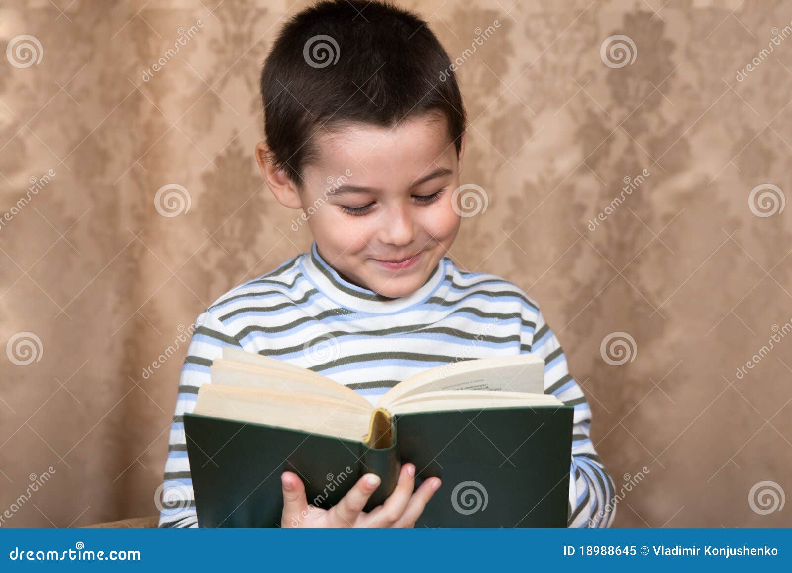 Boy and book stock image. Image of education, book, schoolboy - 18988645