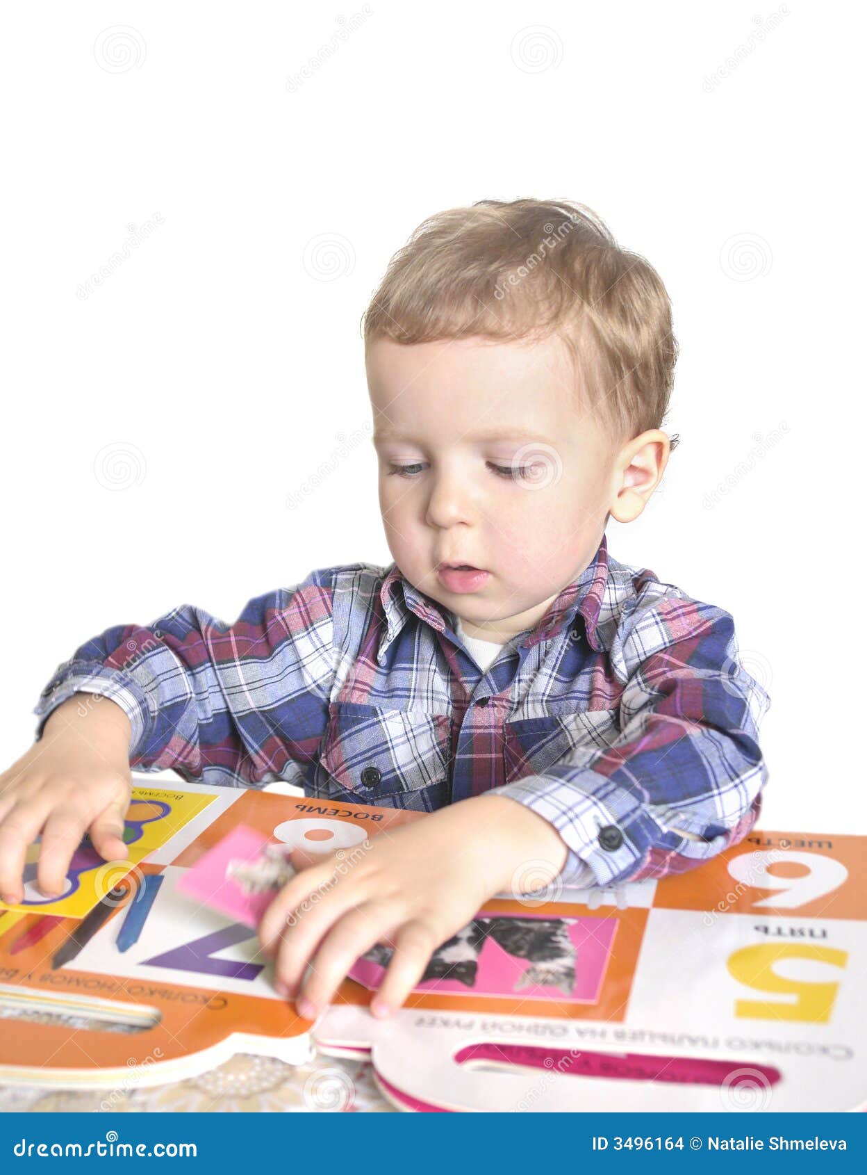 Boy with book stock photo. Image of education, school - 3496164