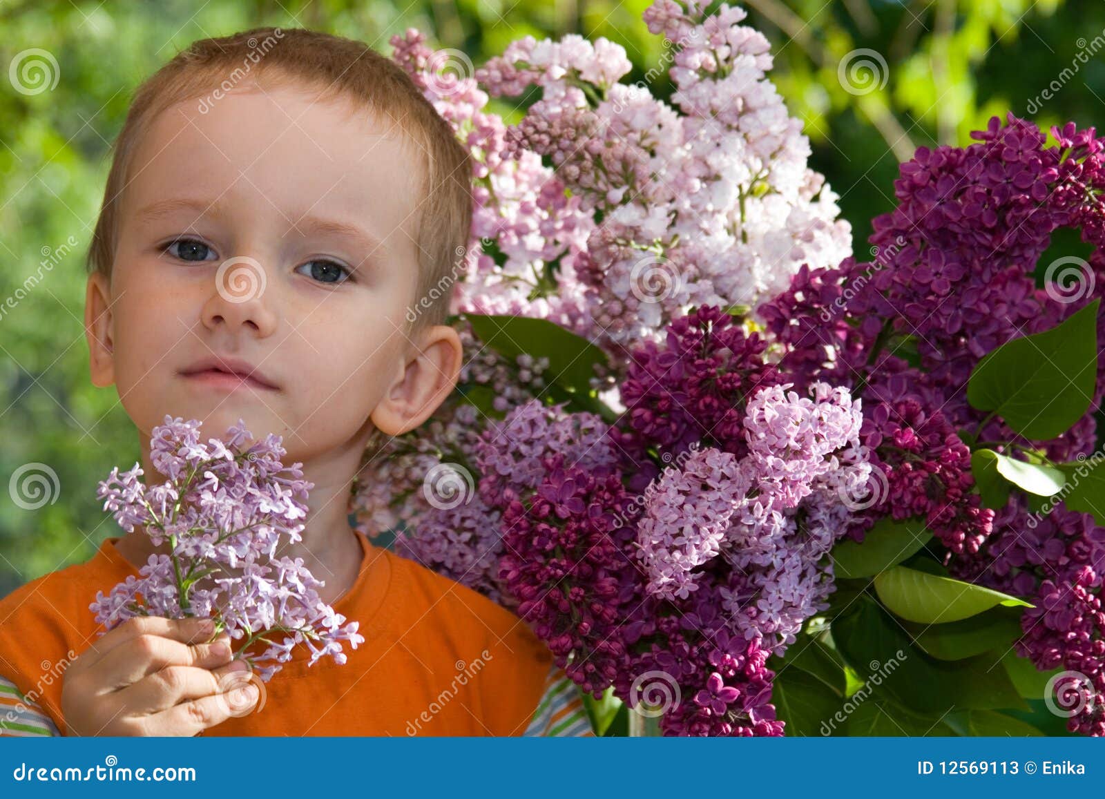 Boy with a Bouquet of Lilacs Stock Image - Image of blossom, people ...