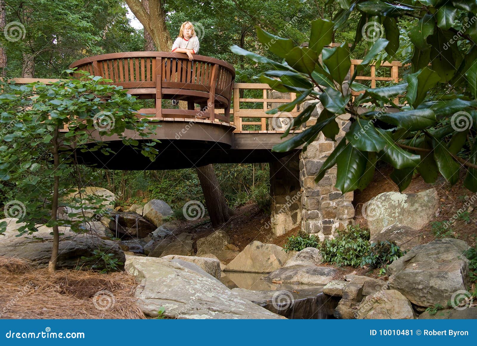 107 Boy Looking Over Bridge Photos - Free & Royalty-Free Stock Photos ...