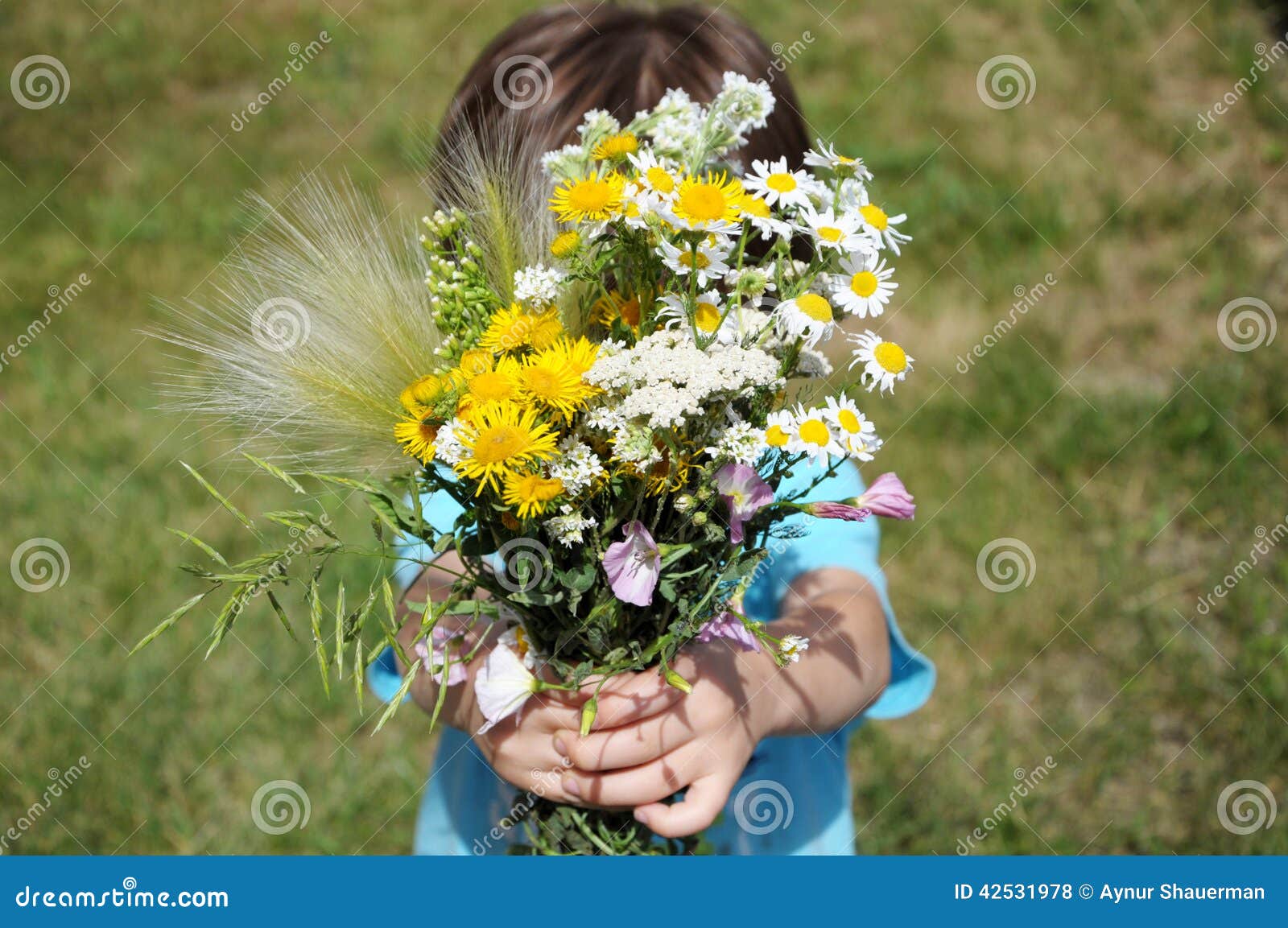 Boy bringning flowers stock photo. Image of blossom, gifting - 42531978